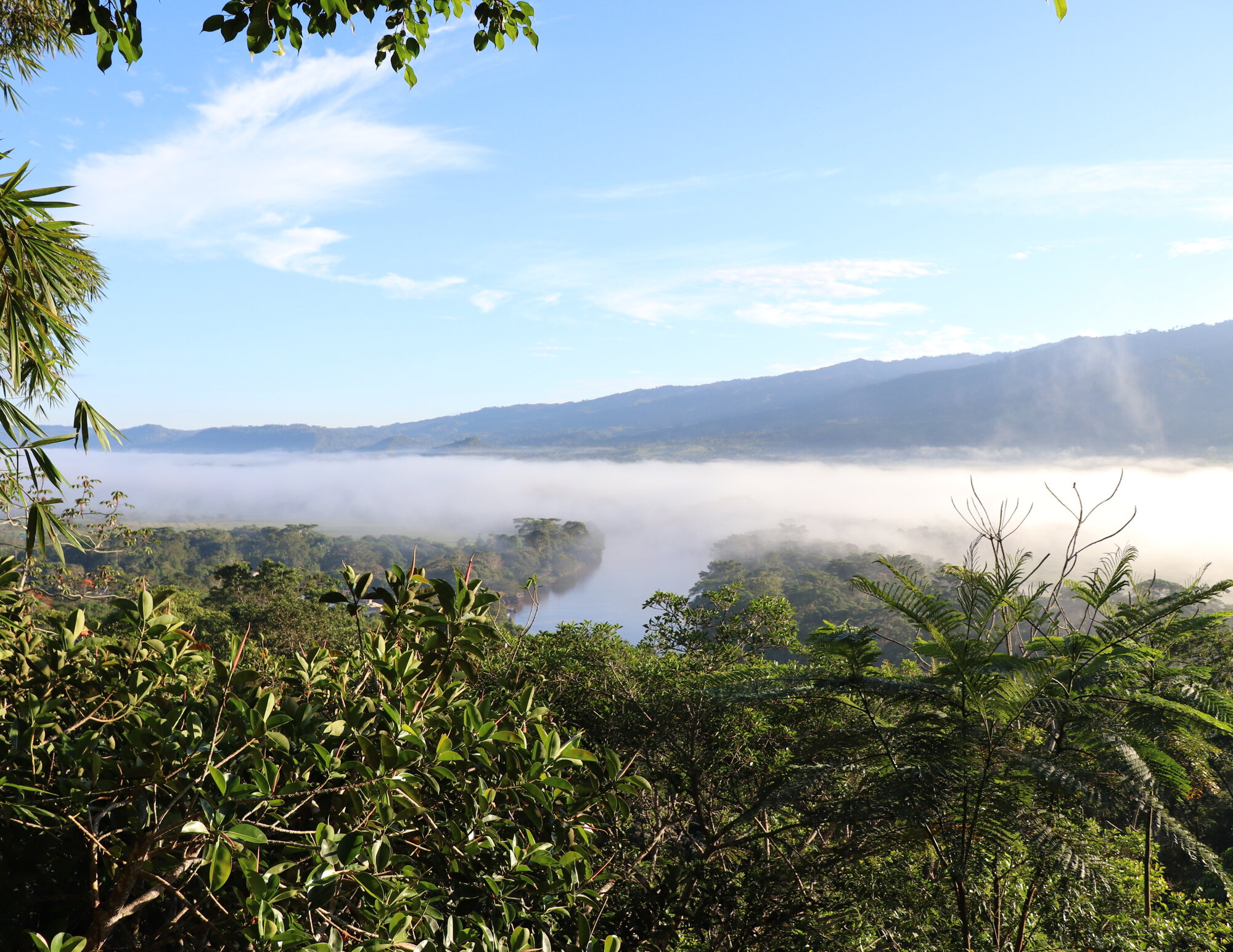 Climate Change Quiz: October 2023 - TechnoServe