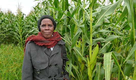 Women in Rural South Africa Take On Climate Change