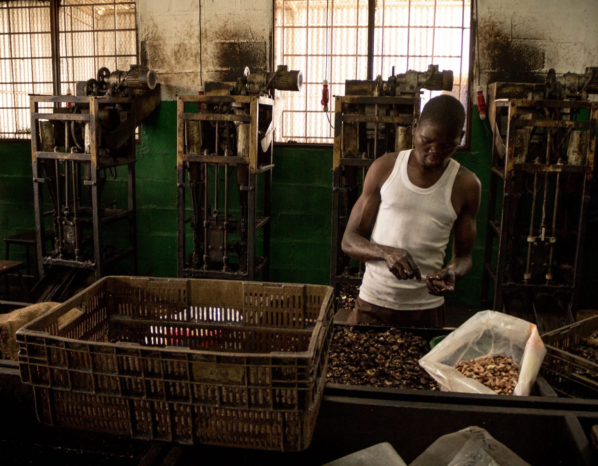 Solutions for African Food Enterprises - TechnoServe
