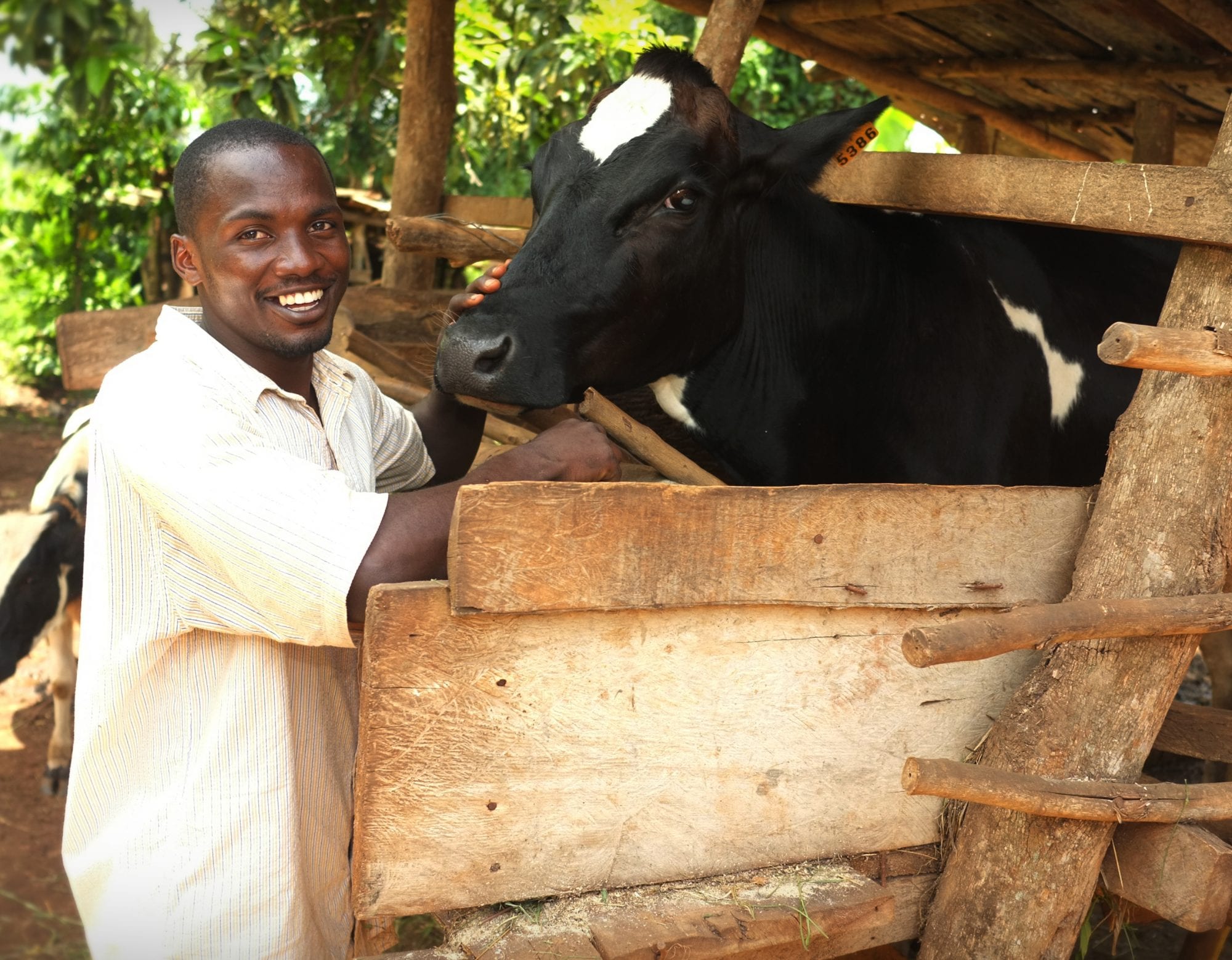 Kenya Market Assistance Program - TechnoServe