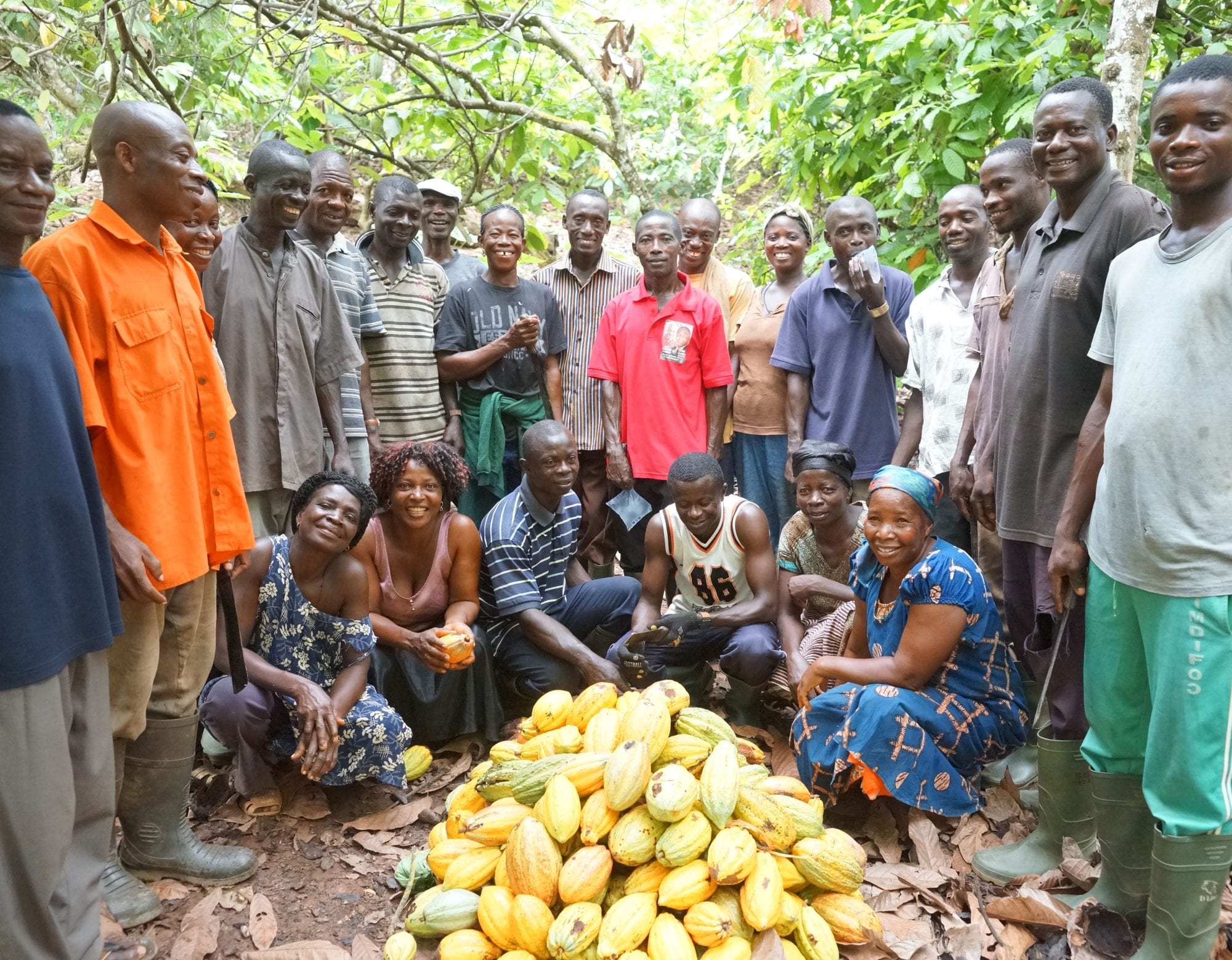 Training Cocoa Cooperative Leaders - TechnoServe
