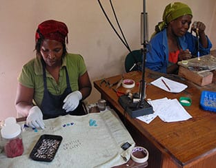 Community-Based Livelihood Development - TechnoServe