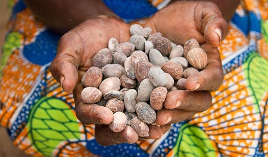 Nuts Provide Incredible Value in Multiple Ways - TechnoServe