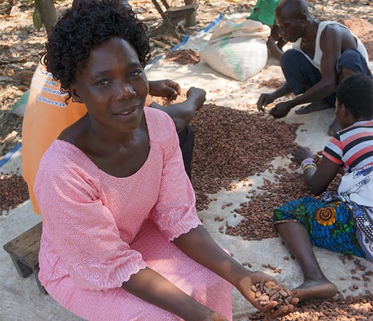 Using the Cocoa Plant to Changing Women’s Lives