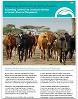 IOM: Improving Livelihoods by Saving Animals - TechnoServe