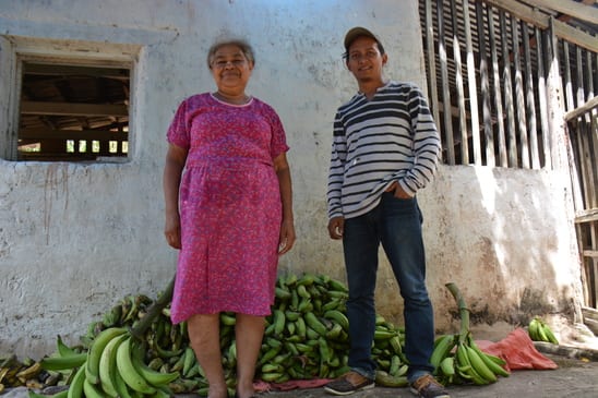 Female Workforces Can Revolutionize Latin American Business