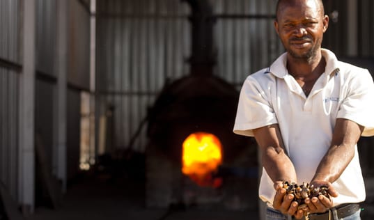 Turning Waste into Profit - TechnoServe Turning Waste into Profit - TechnoServe