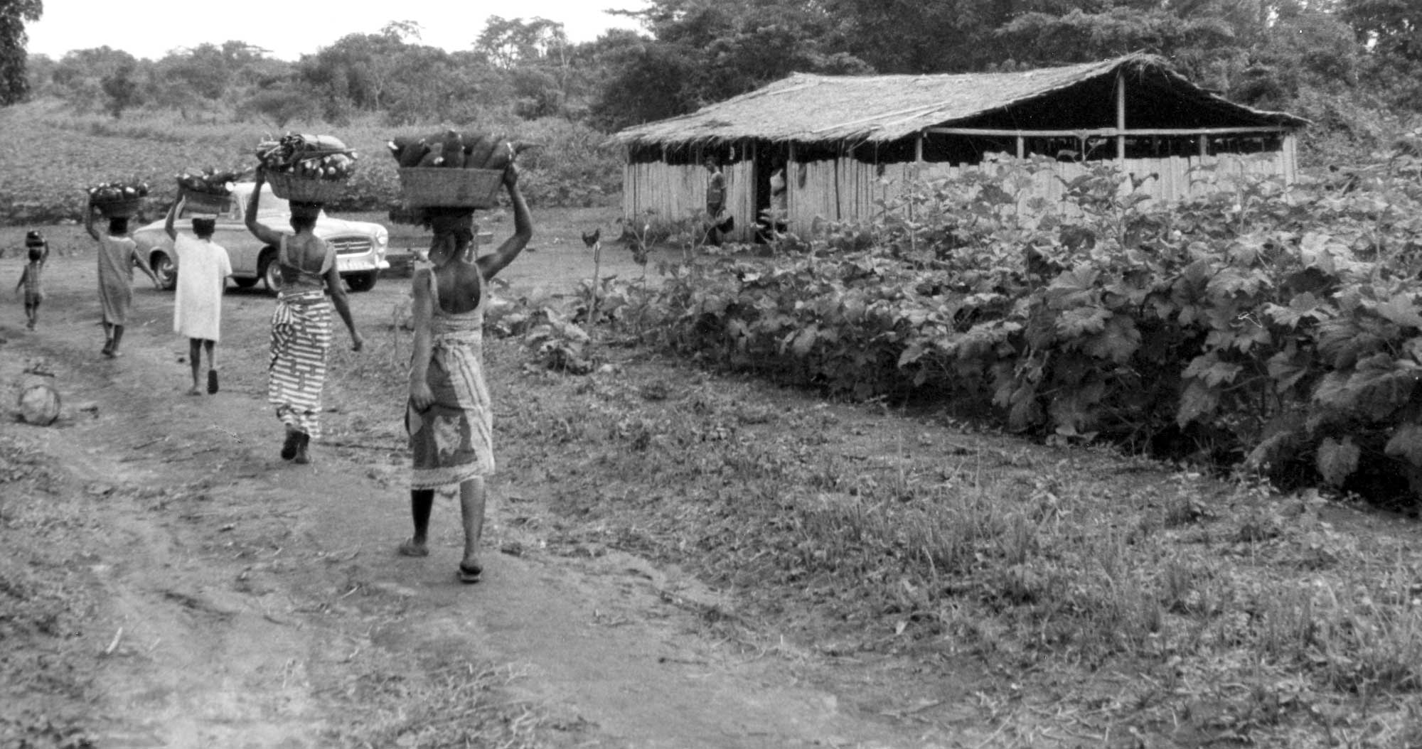 TechnoServe's History of alleviating global poverty