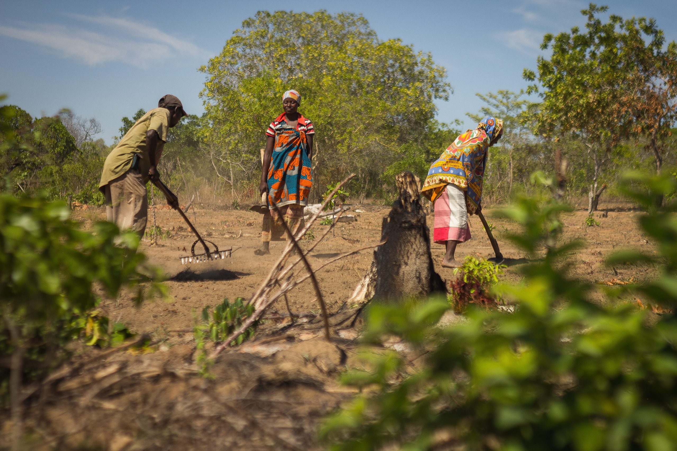 3 Ways to Make Technology Inclusive for Smallholder Farmers