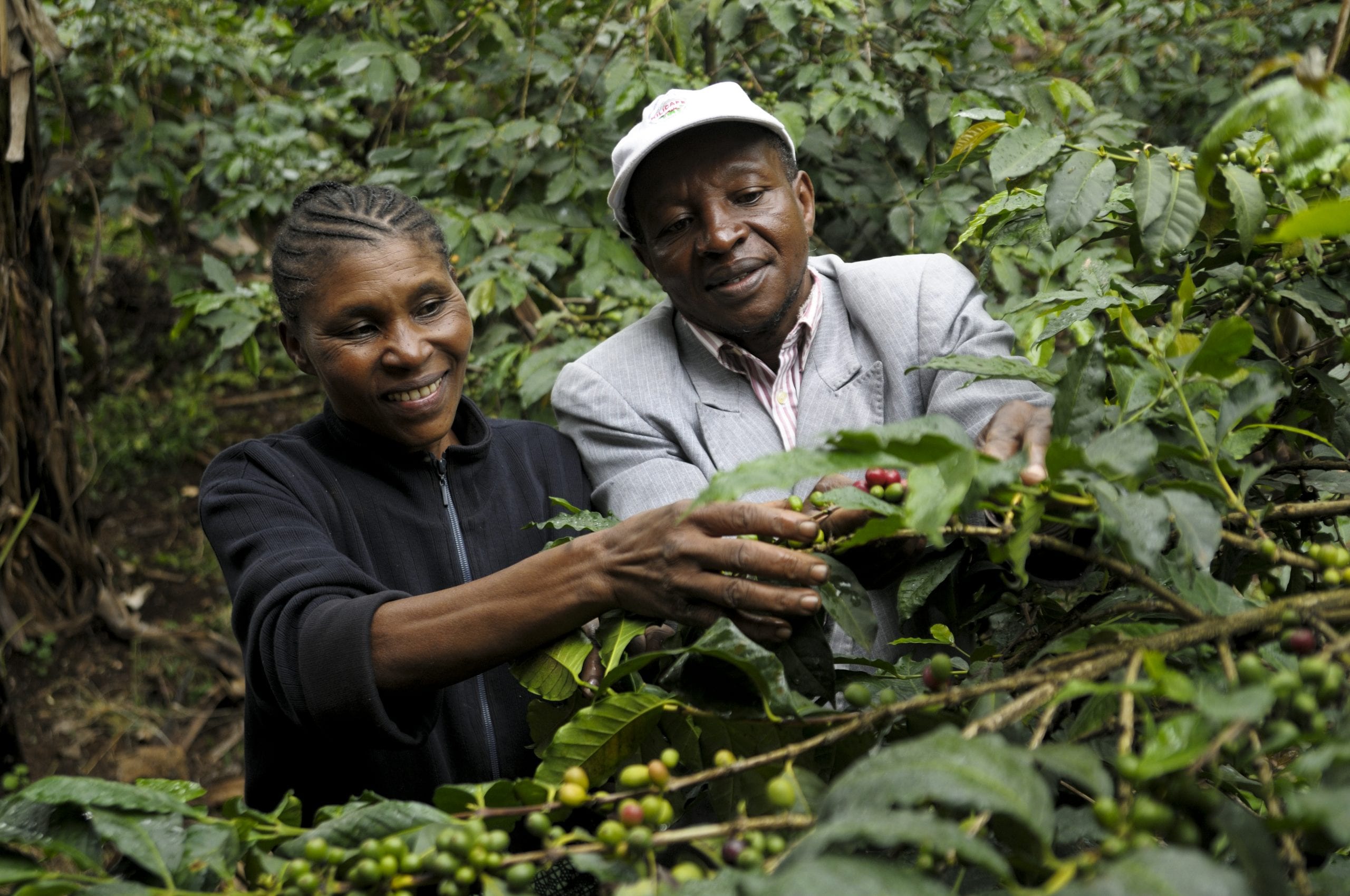 TechnoServe's Top 5 Stories of 2019 - TechnoServe