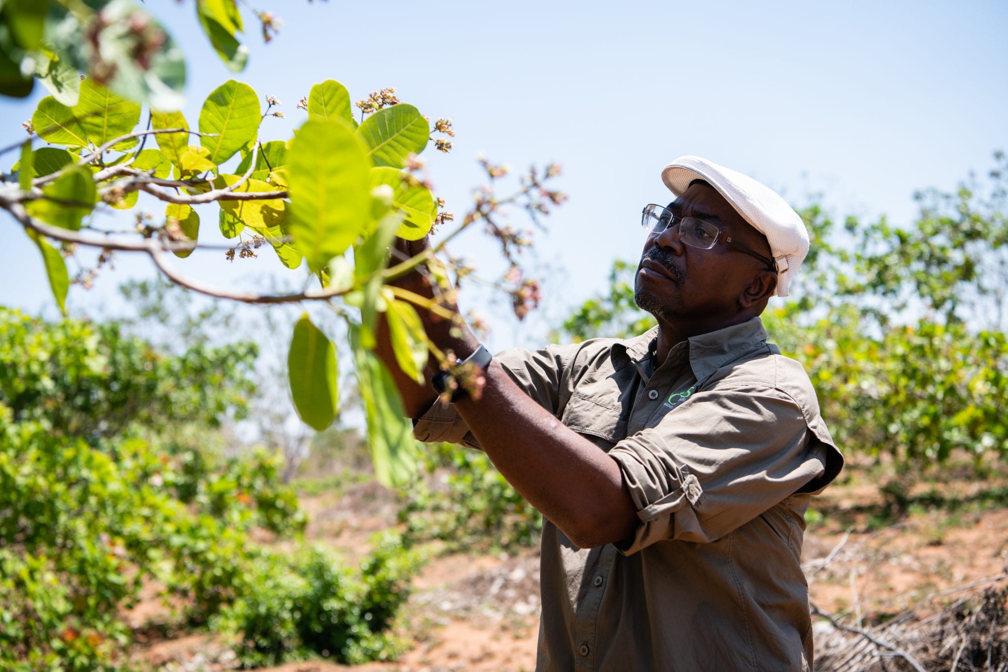 How TechnoServe is Working with Tech Partner to Scale Impact