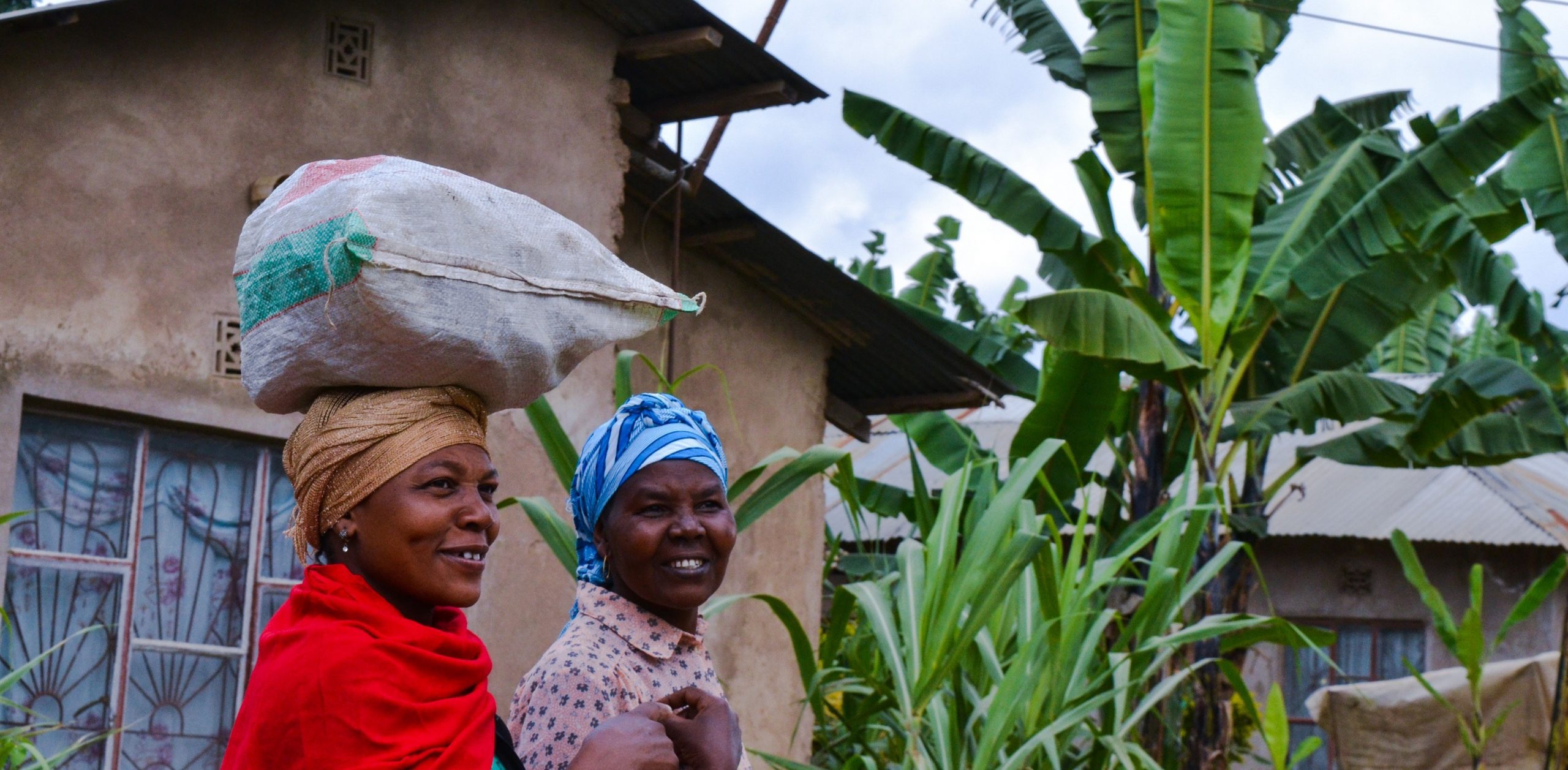 What Is Food Security and How Does it Affect the World? - TechnoServe