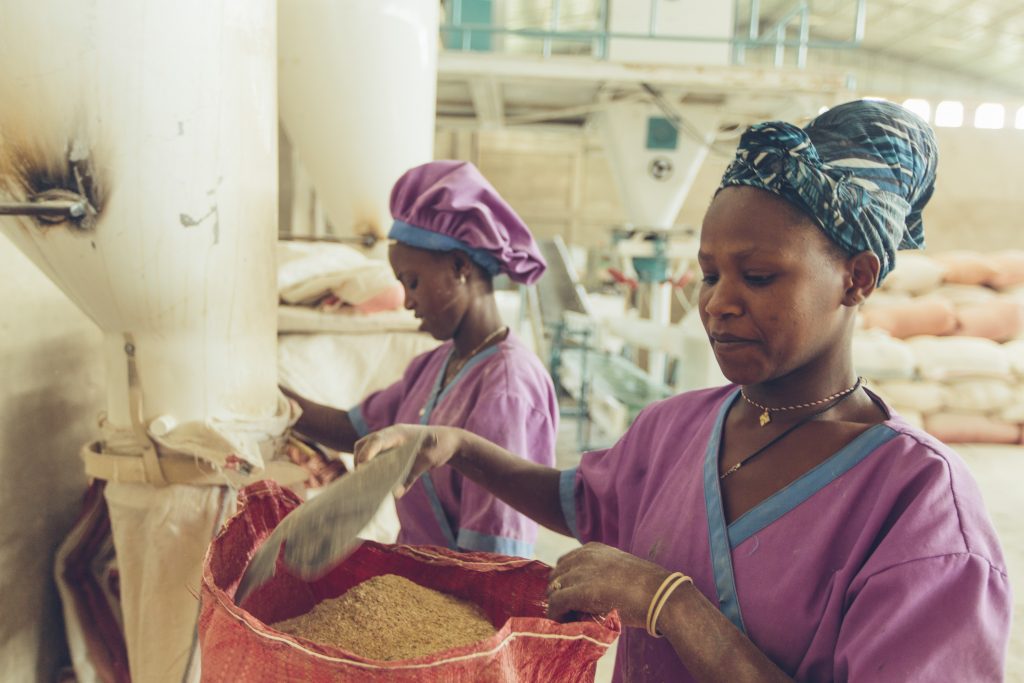 The Role of Food Processing in Global Nutrition - TechnoServe