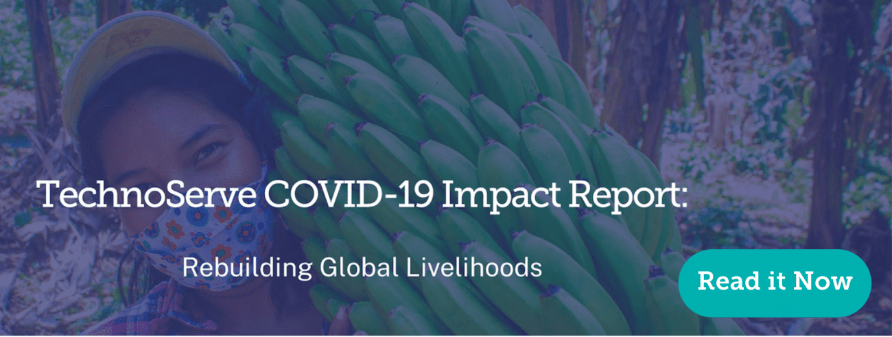 TechnoServe - Homepage - Business Solutions for Fighting Poverty