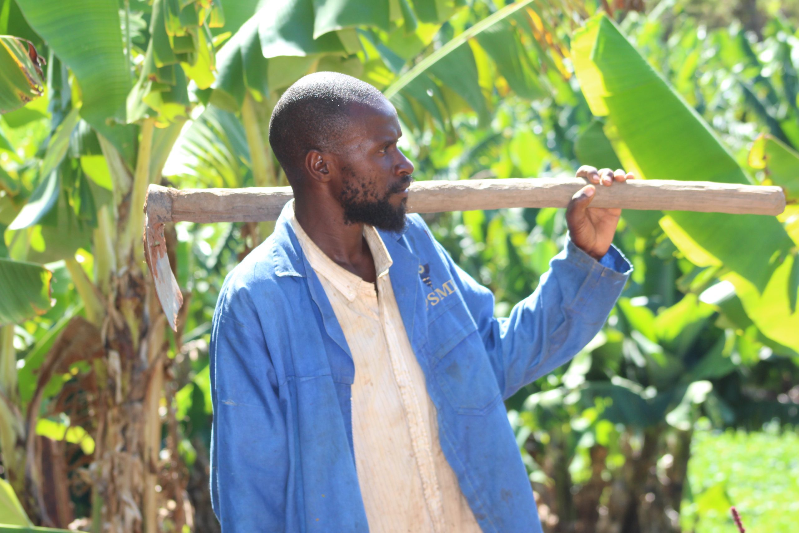 Meet Coffee Farmers from Nespresso's Reviving Origins in Zimbabwe