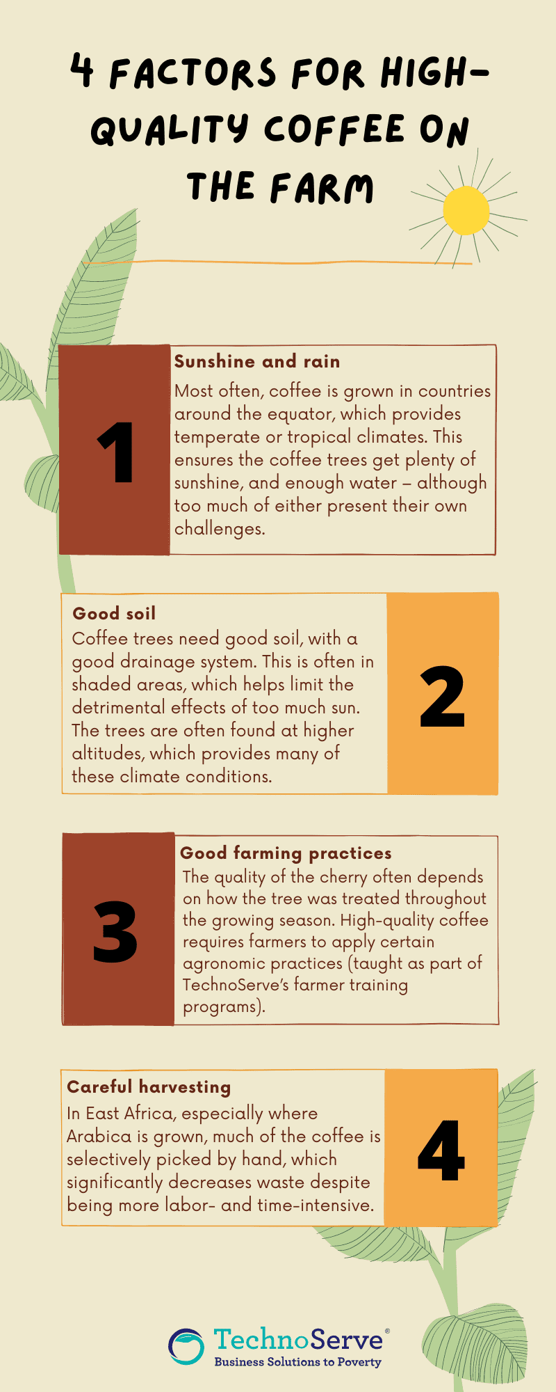 How Coffee Farmers in East Africa Bring Favorite Blends from Crop to Cup