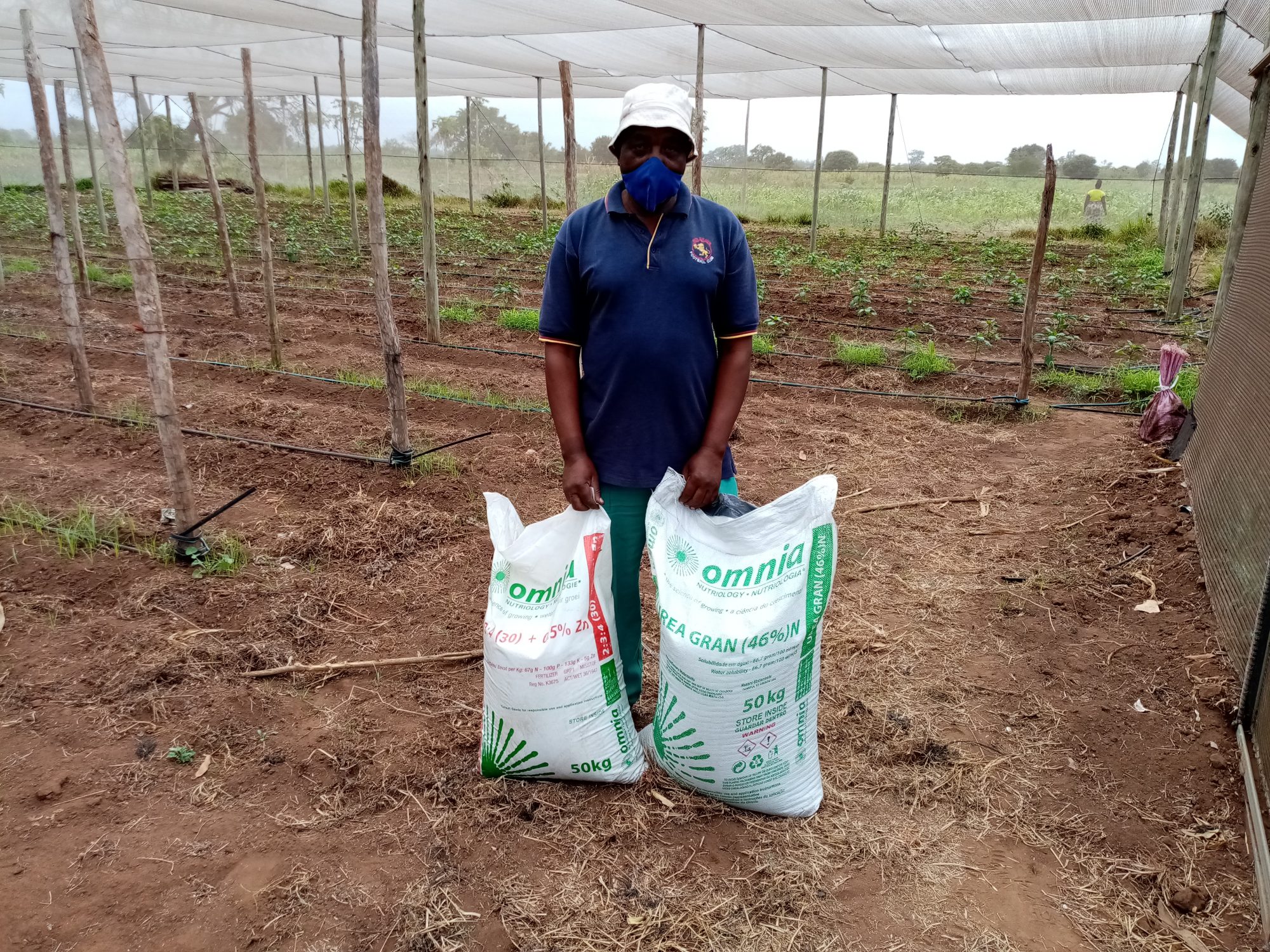 Three Steps to Increased Productivity: Helping Farmers Build Better ...