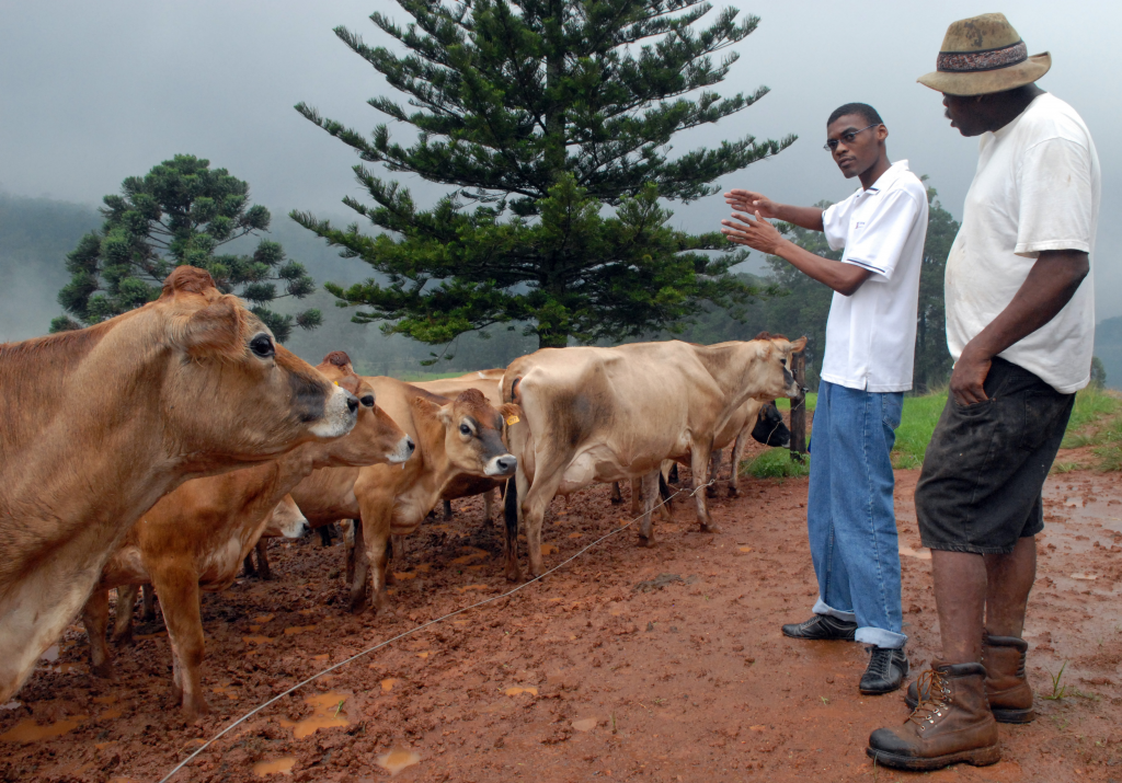 3 Big Ways to Reduce Small Farm Emissions - TechnoServe