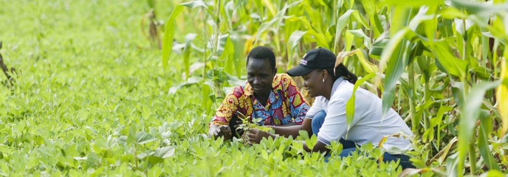 How Much Do You Know About Climate Change in Low-Income Countries ...