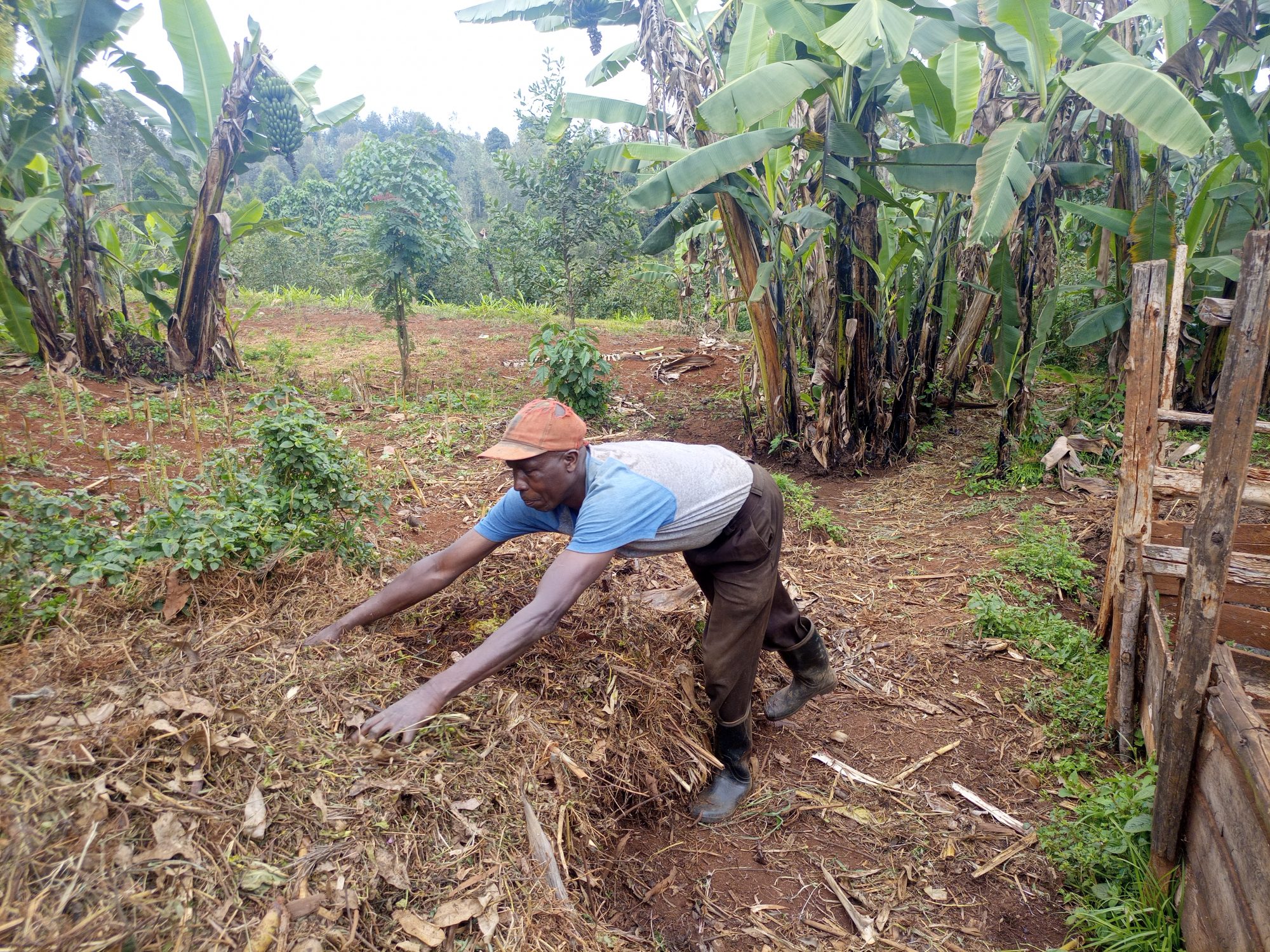 How a Kenyan Couple Sustainably Revived Their Crops - TechnoServe