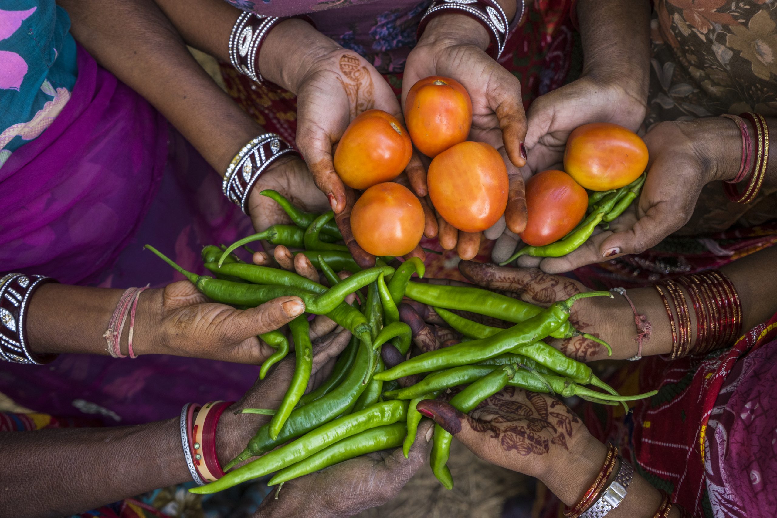 What Is Food Security and How Does it Affect the World? - TechnoServe