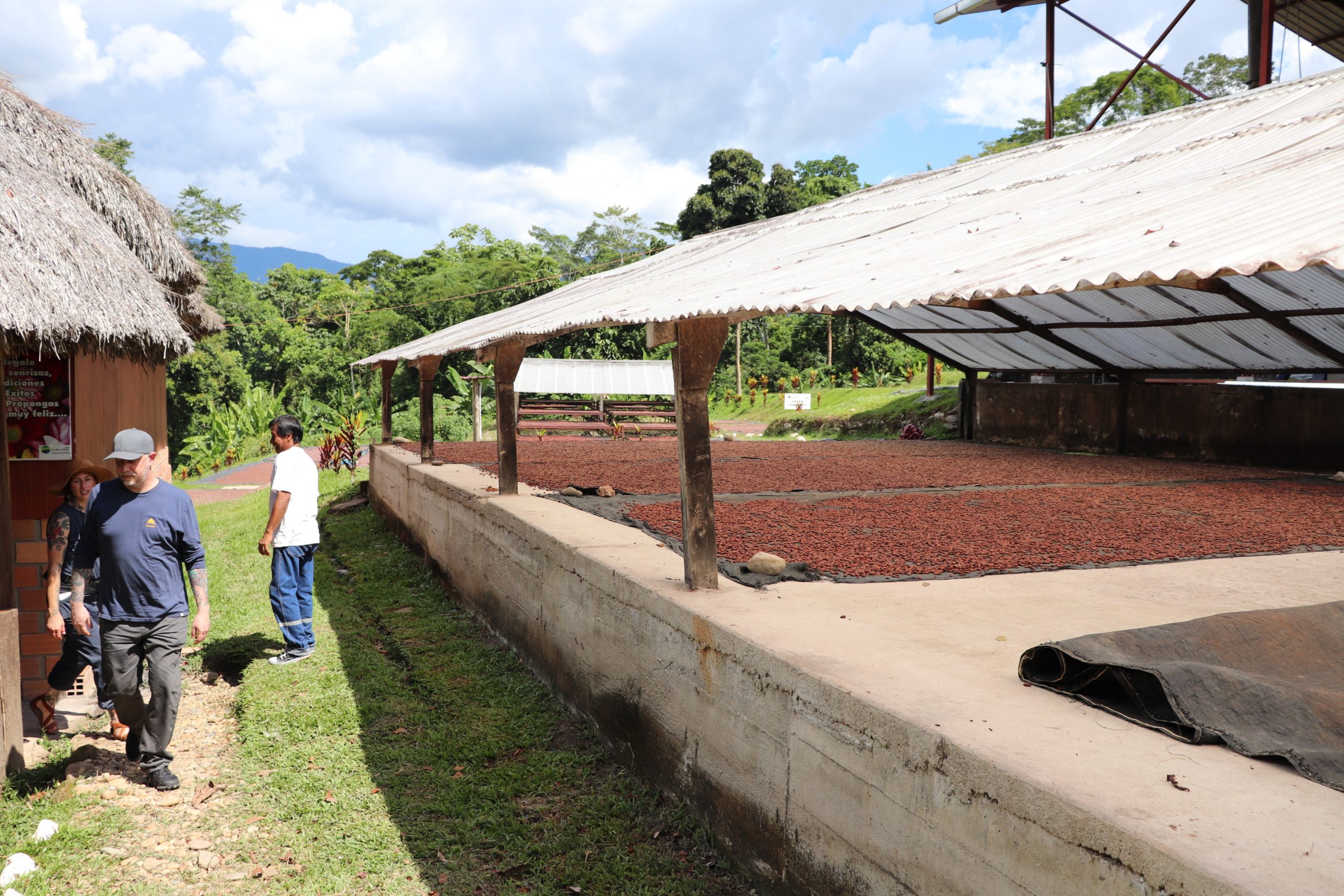 Building Farmers’ Resilience to the Fertilizer Crisis in Peru - TechnoServe