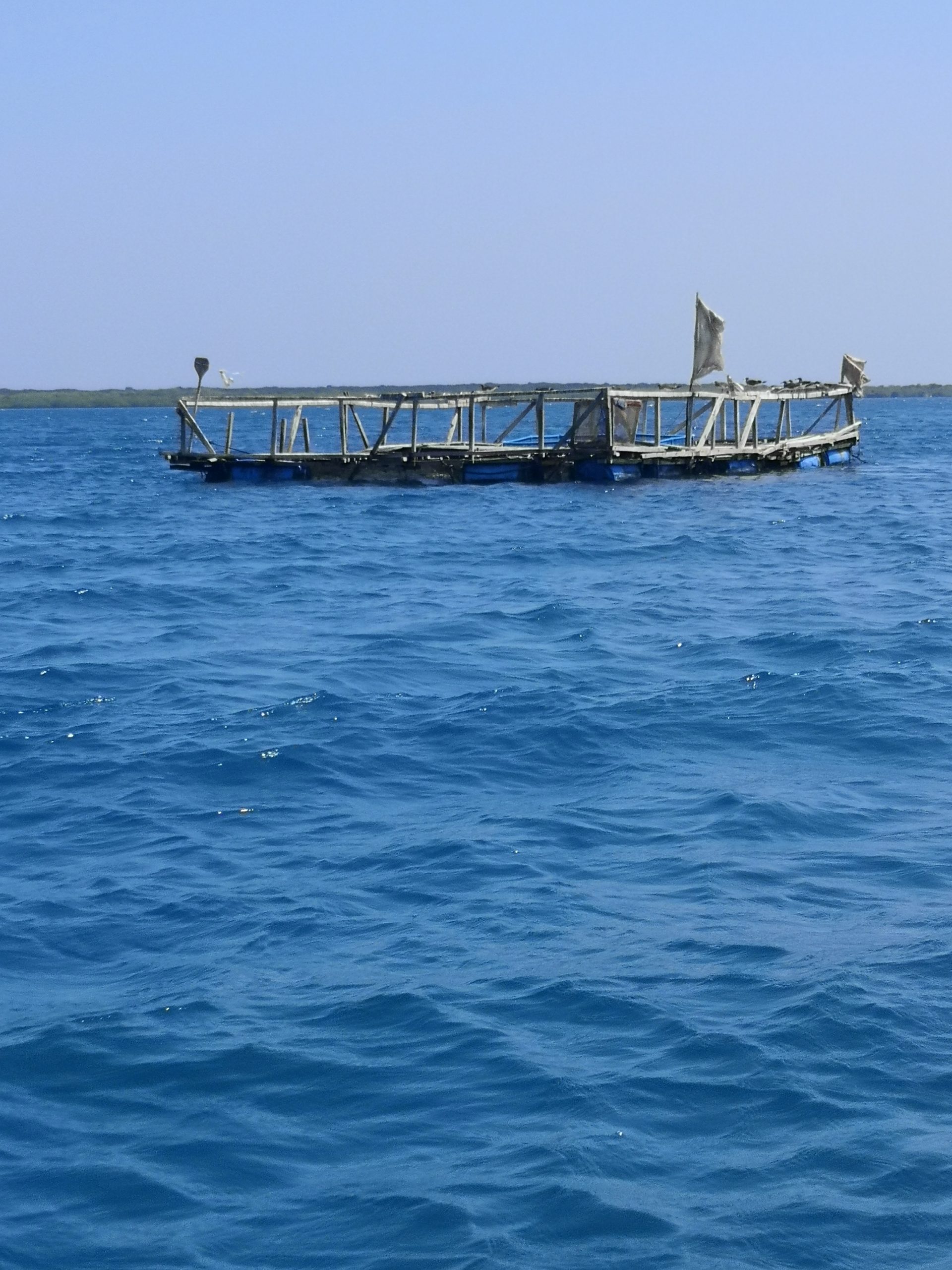 3 Win-Win Solutions to Promote Ocean Conservation and Local Livelihoods ...