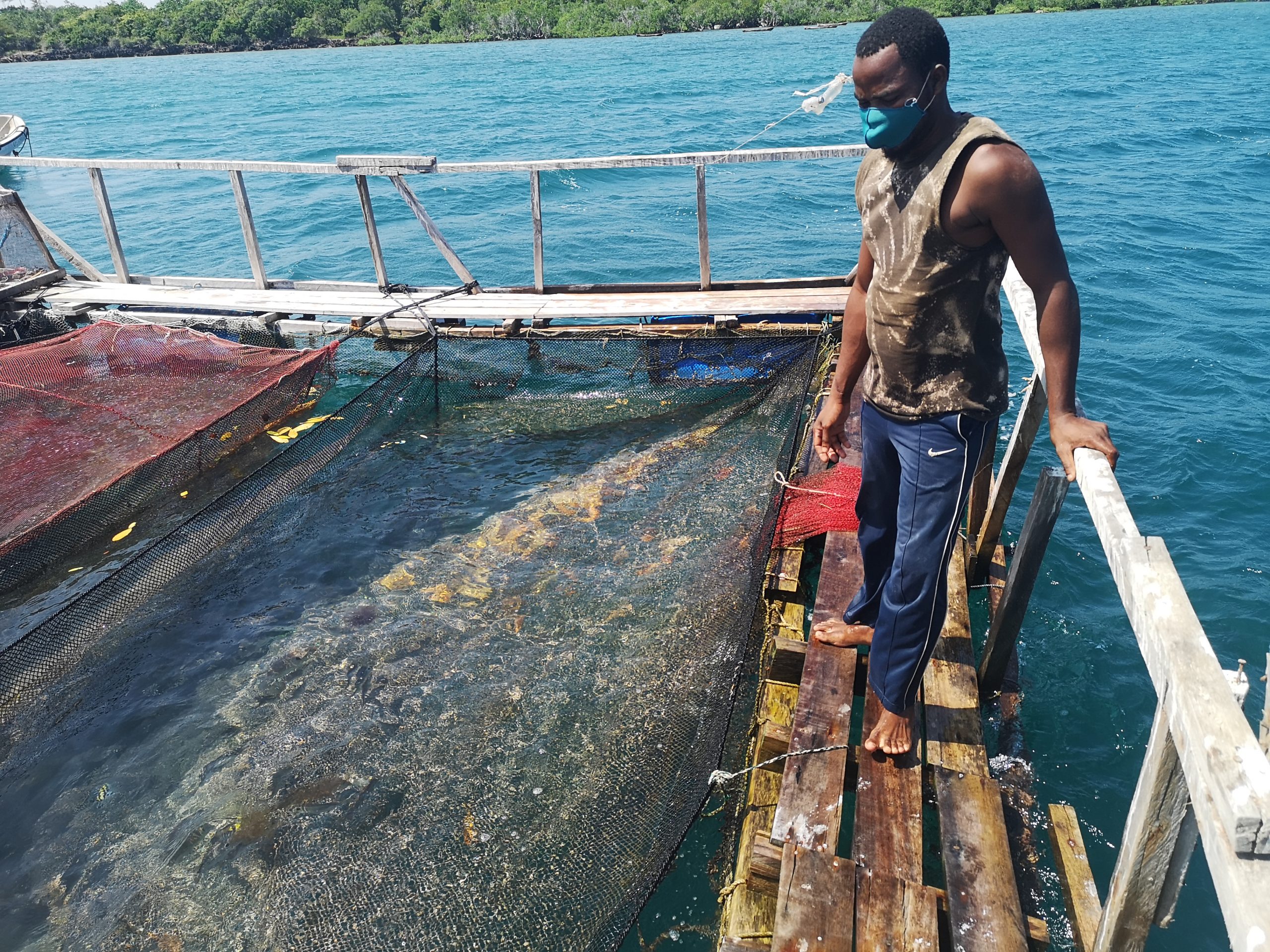 3 Win-Win Solutions to Promote Ocean Conservation and Local Livelihoods ...