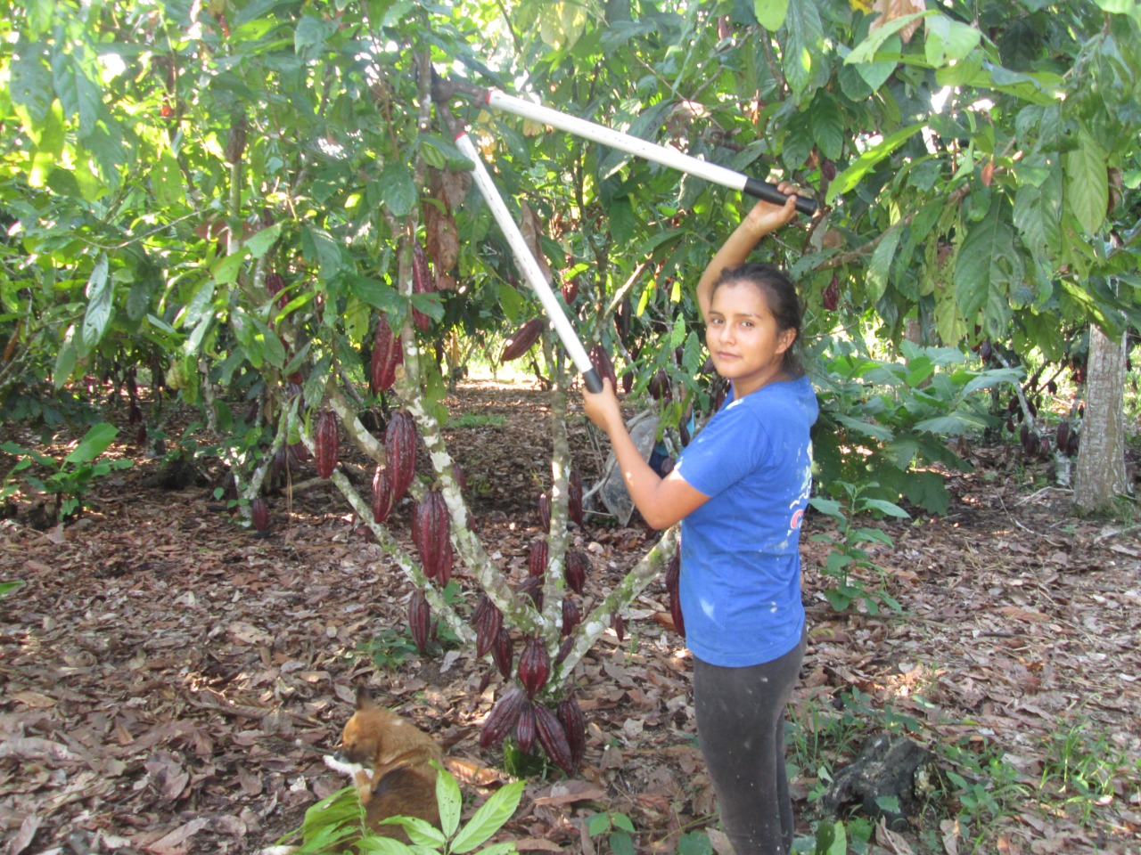 A Woman Farmer and Single Mother Empowers Her Family, Her Community ...