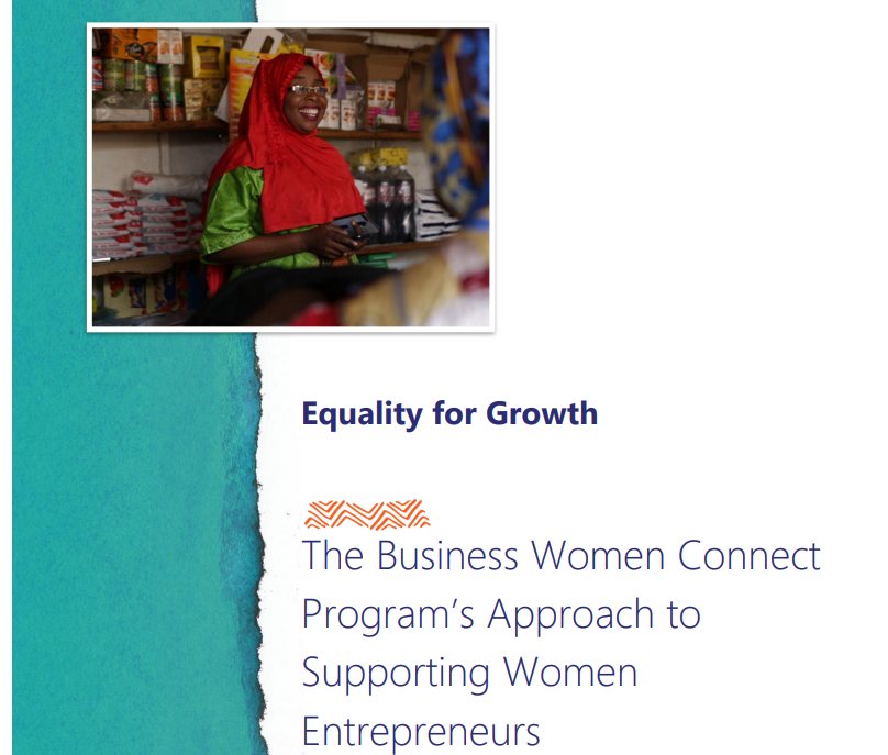 Equality for Growth: The Business Women Connect Program’s Approach to ...