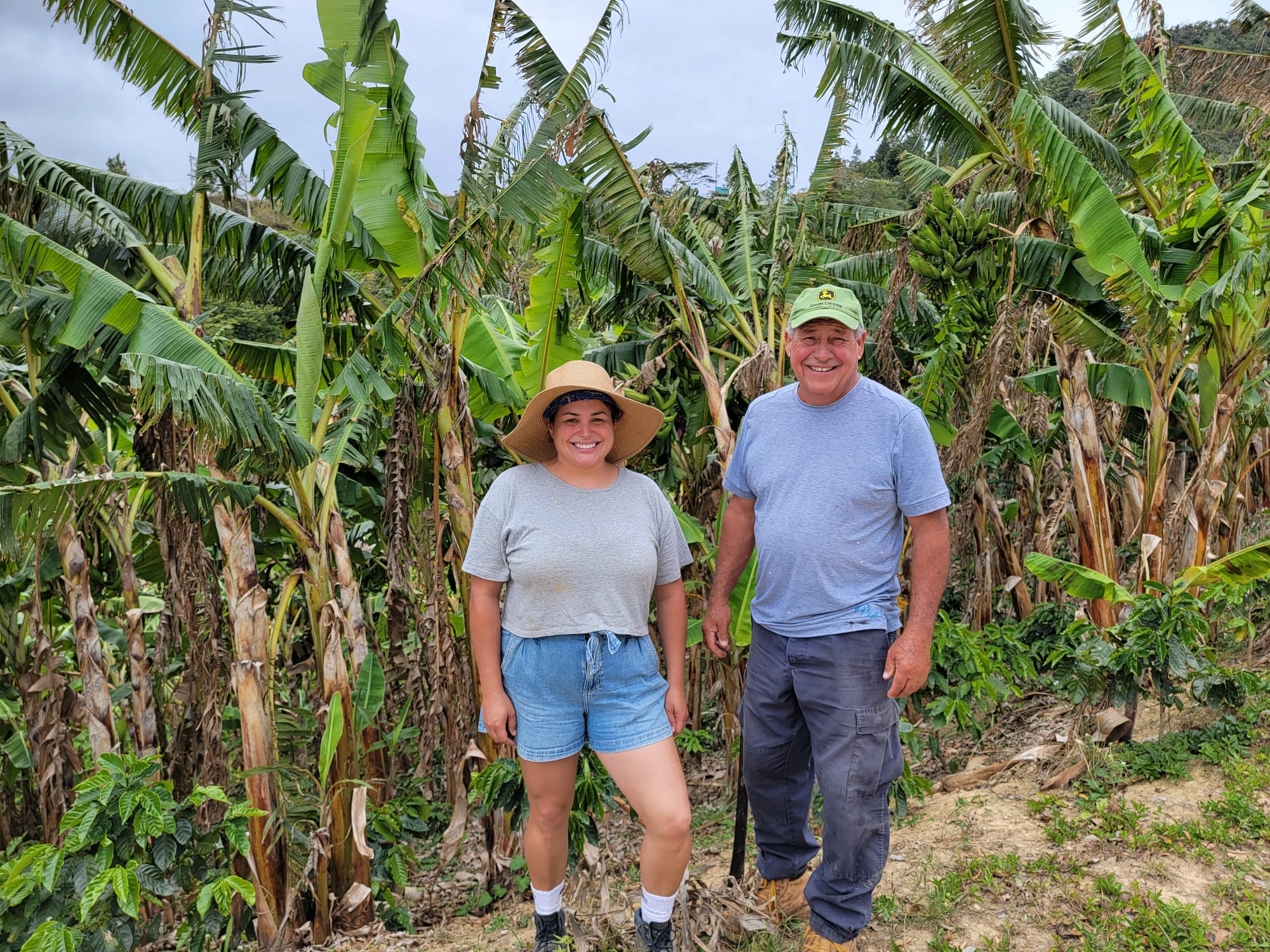 Following Hurricane Maria, Farmers in Puerto Rico Find their Resilience ...