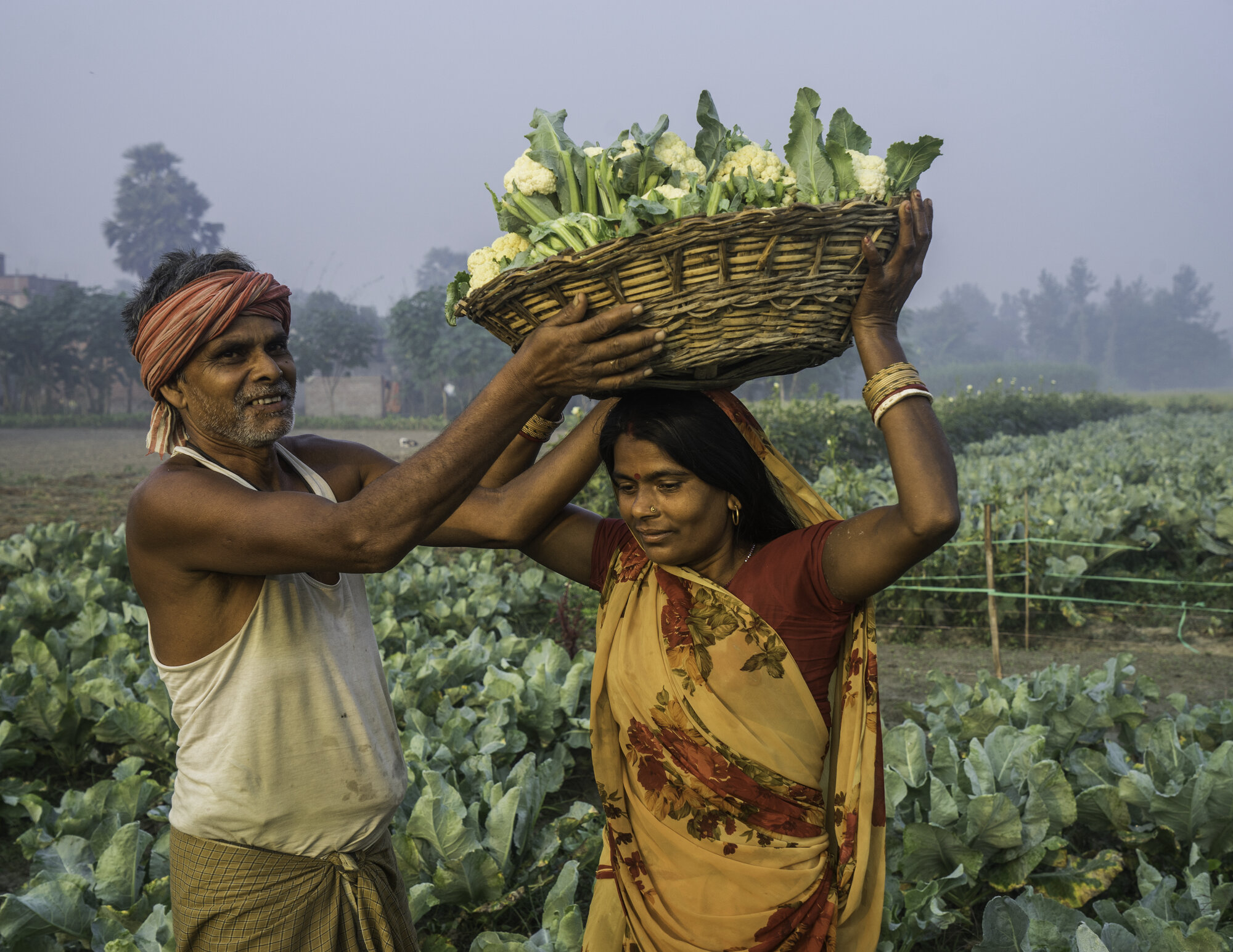 How Much Do You Know About the Fight Against Hunger? - TechnoServe