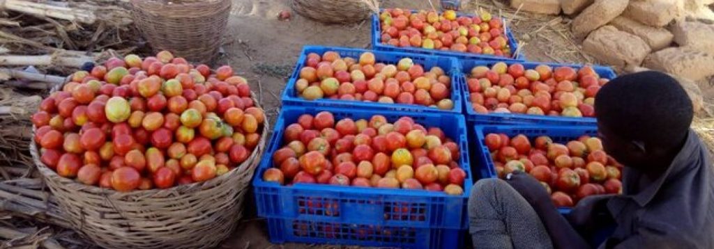How an Entrepreneur Learned to Grow His Success Following Nigeria’s ...