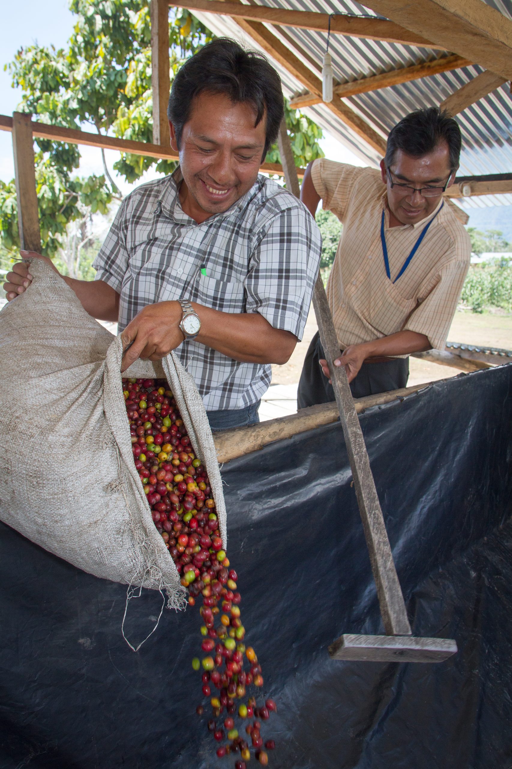Favorite Recipes from Around the World: 4-Part Thanksgiving Series ...