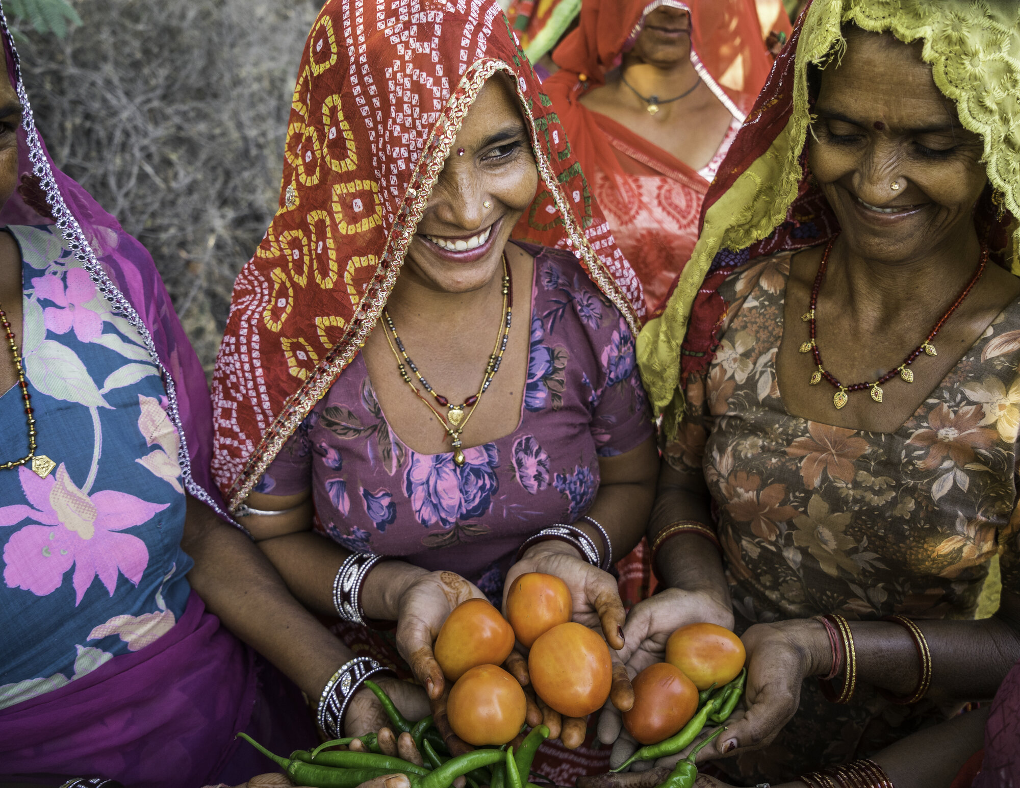 How Does Food Insecurity Affect Poverty? - TechnoServe