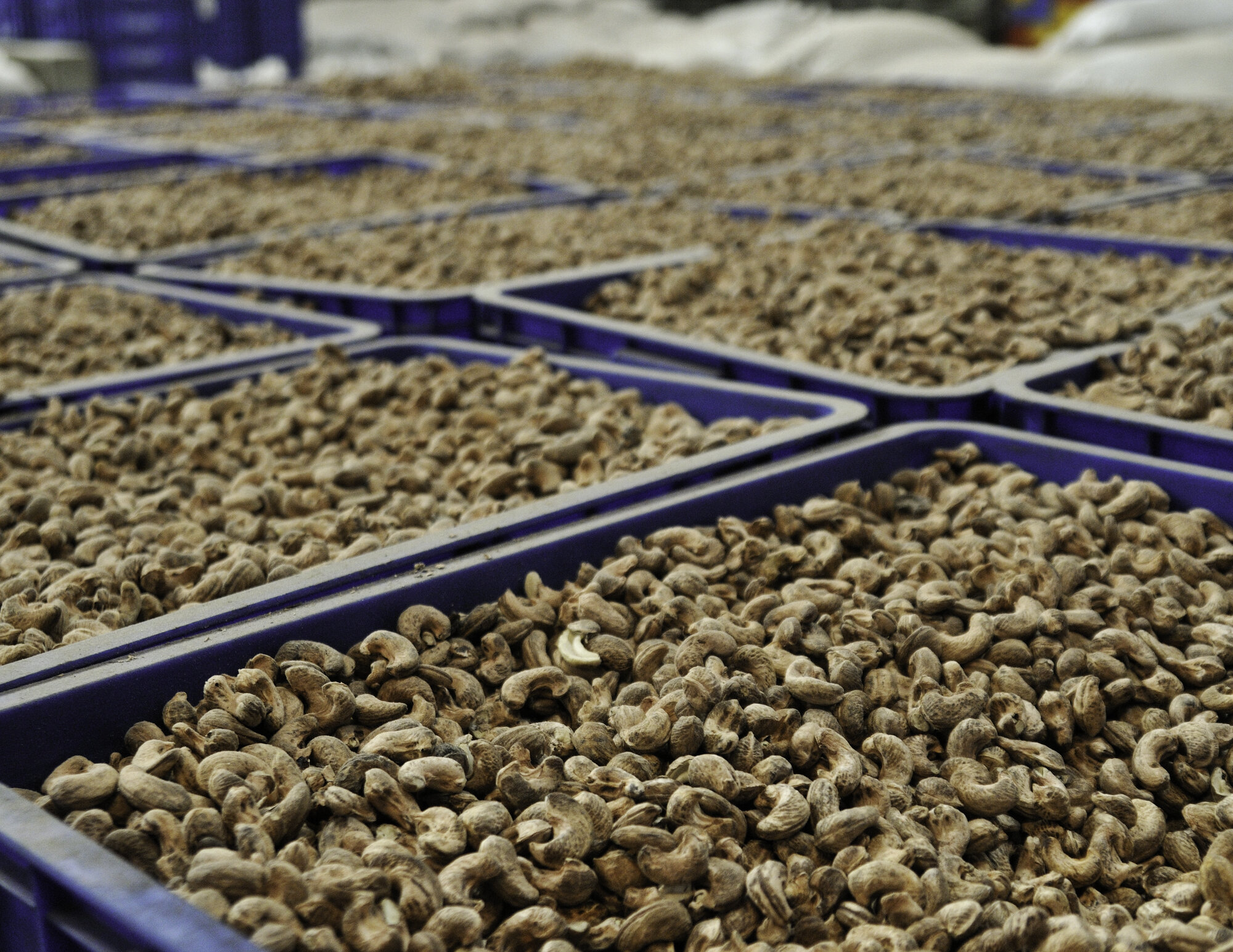 2022 Year in Review - TechnoServe