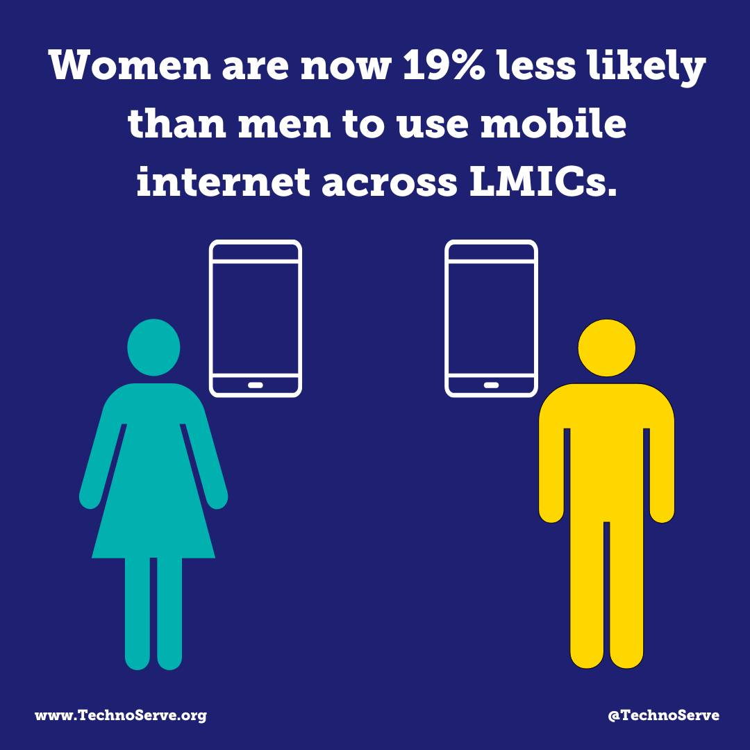 Gender Equality and Technology: The Gap for Access to Technology Widens ...