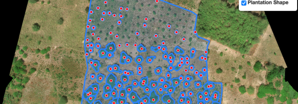 Polygon mapping is critical to support smallholder agro-forestry and deforestation programs ...