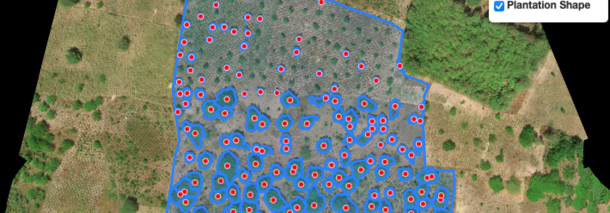 Polygon mapping is critical to support smallholder agro-forestry and deforestation programs ...