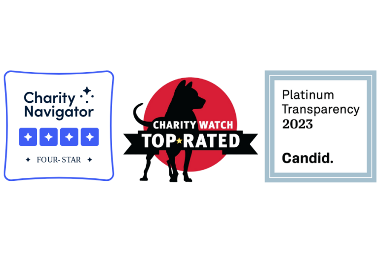 Donate to TechnoServe. A different way to make a difference