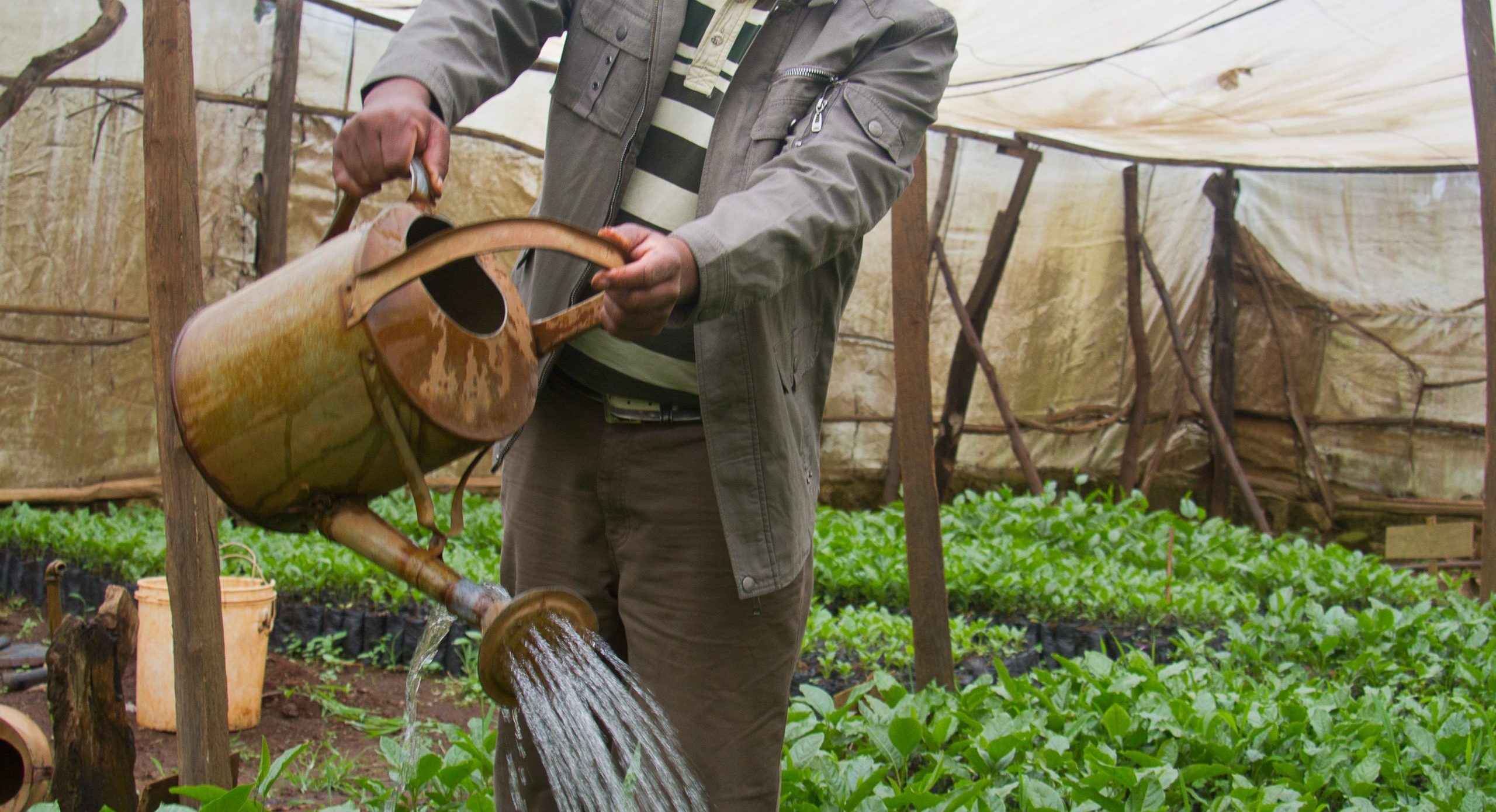 World Food Day 2023: Water is Life, Water is Food - TechnoServe