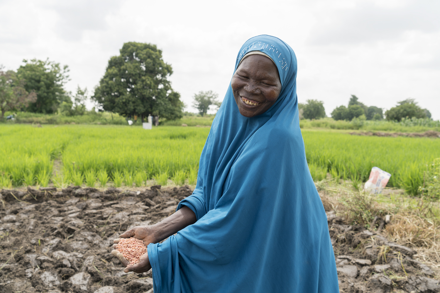 Segun Aganga Joins TechnoServe's Board of Directors - TechnoServe