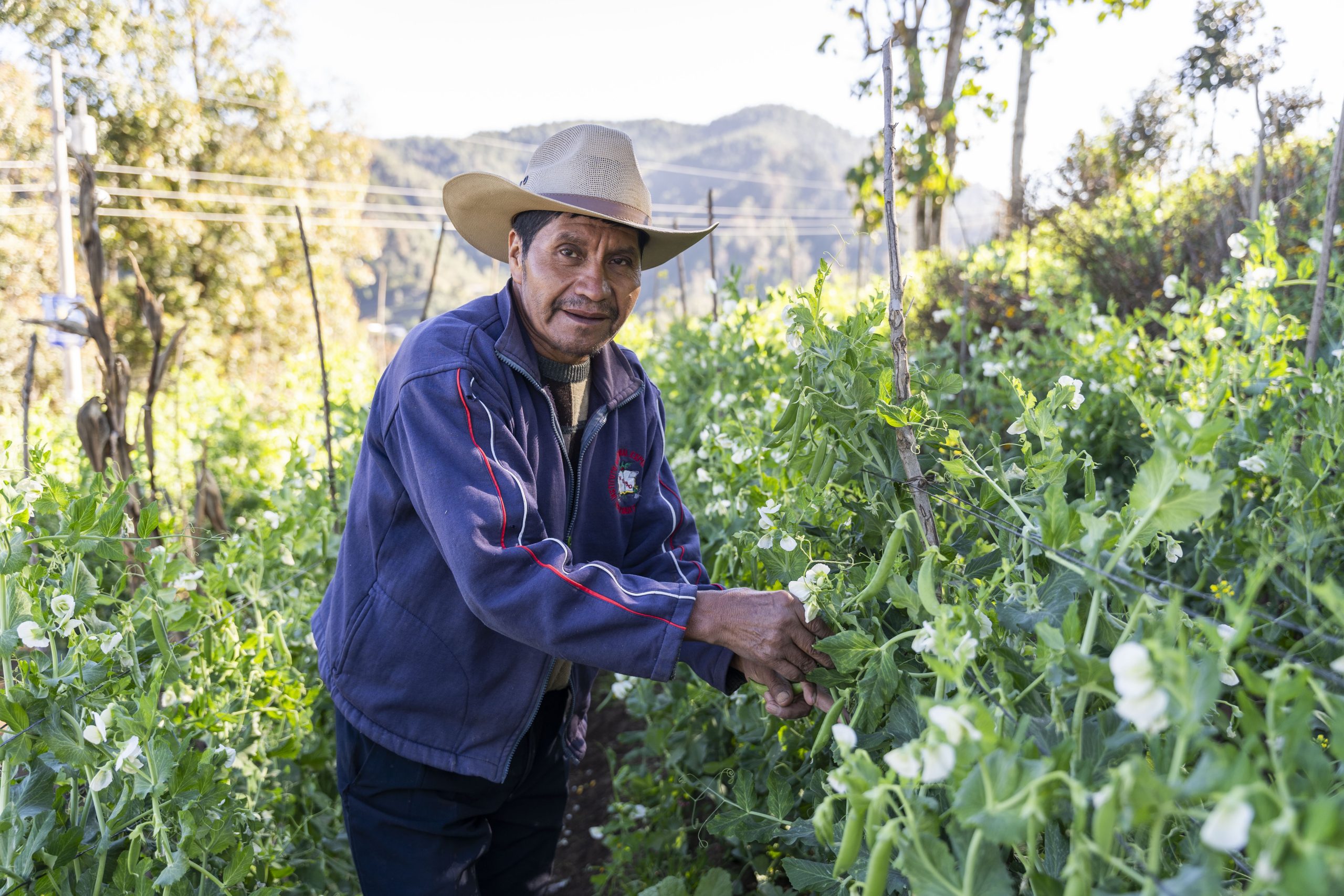 International Development Terms to Know in 2024 - TechnoServe