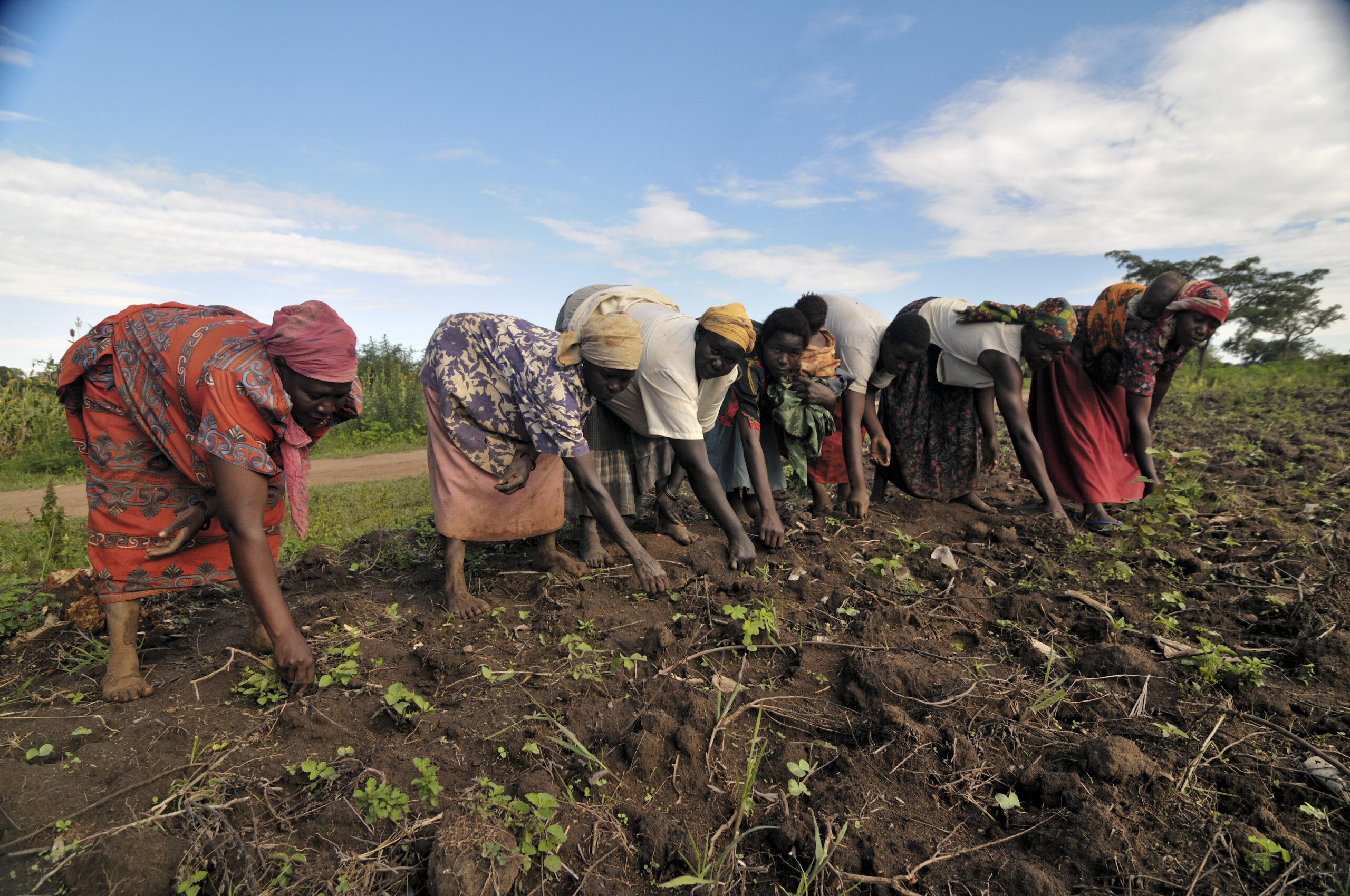 5 Strategies to Address Global Poverty - TechnoServe