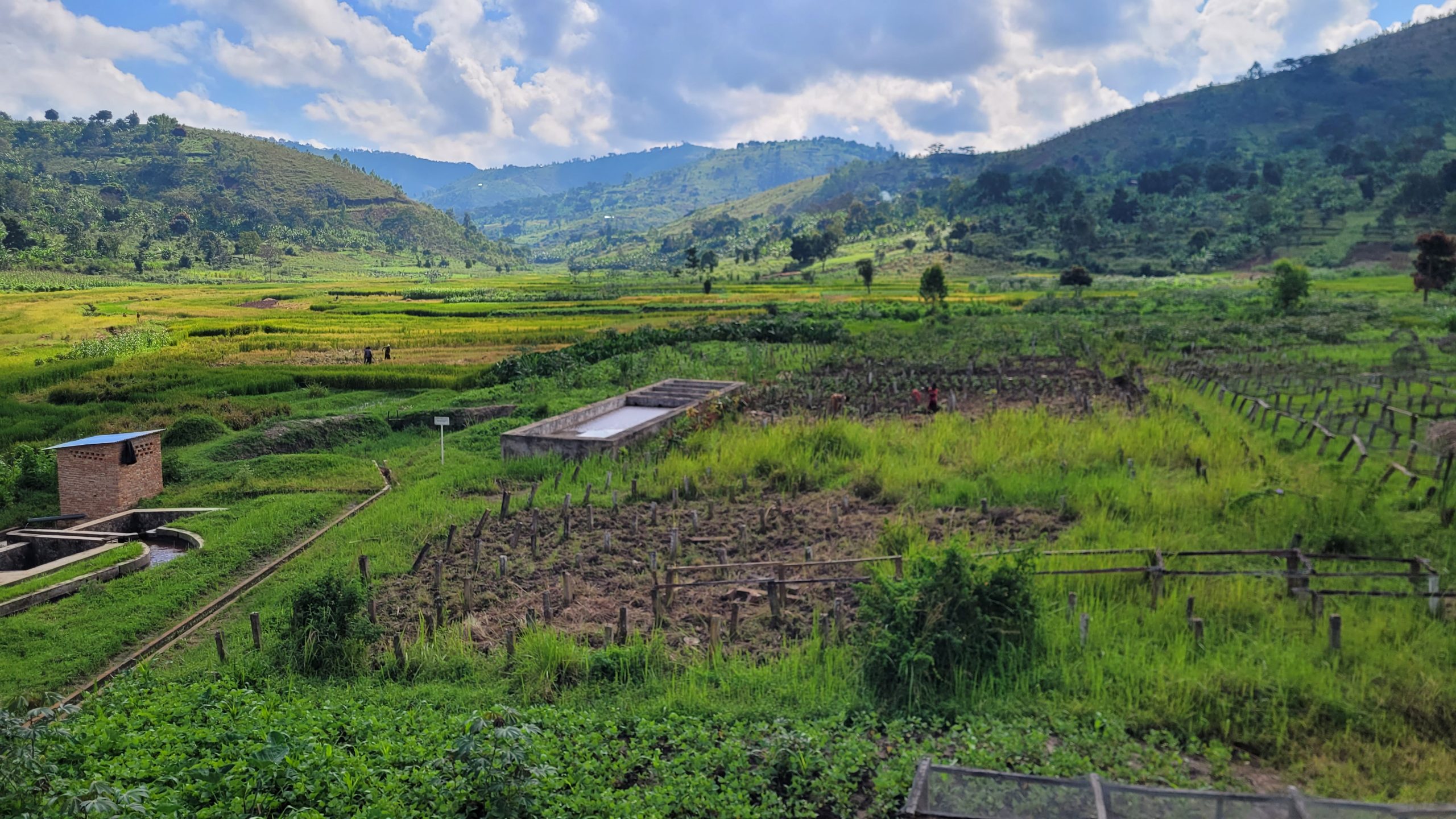 Burundi Country Page East Africa - TechnoServe