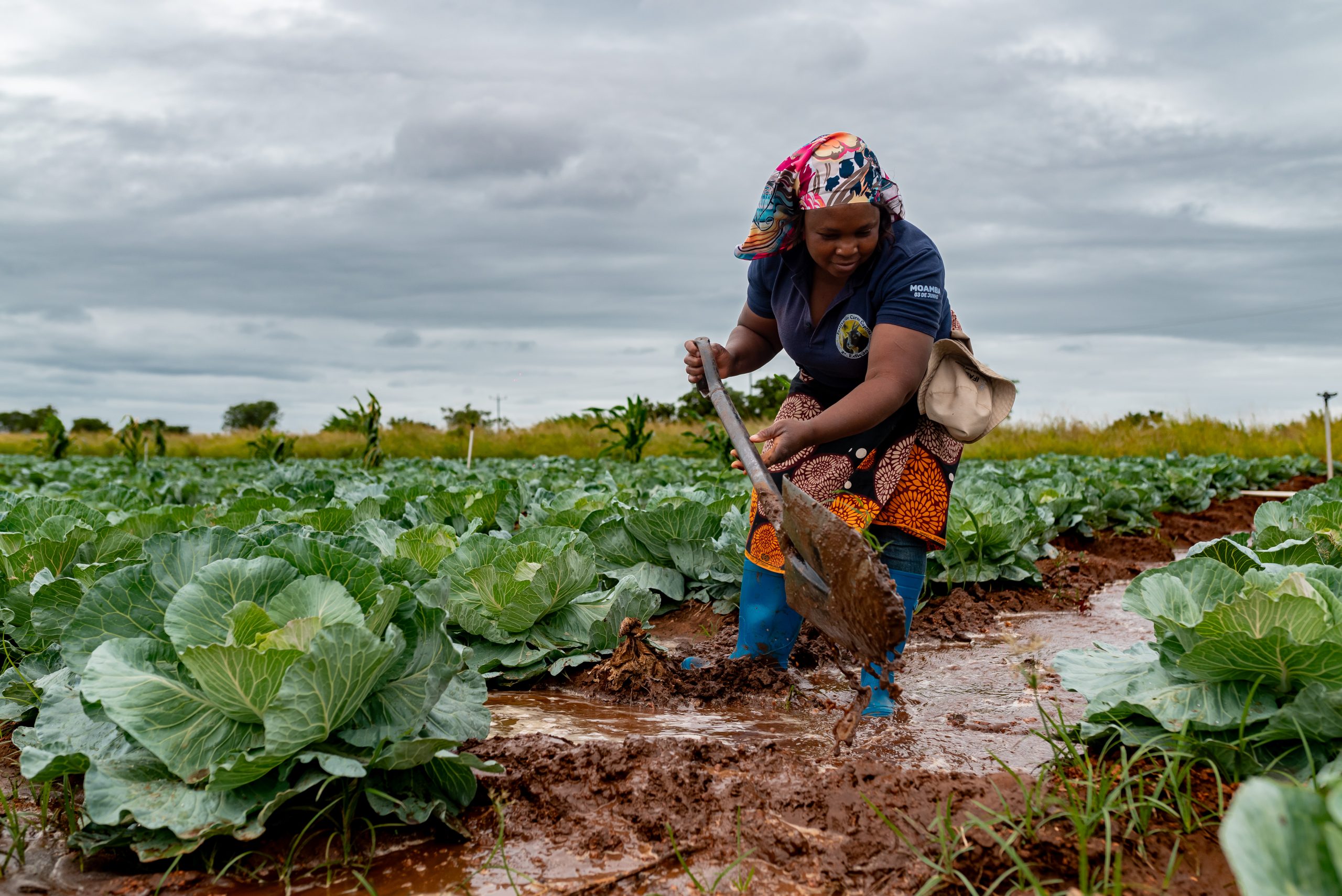 Women IN Business signs a Collaboration Agreement with the Ministry of ...