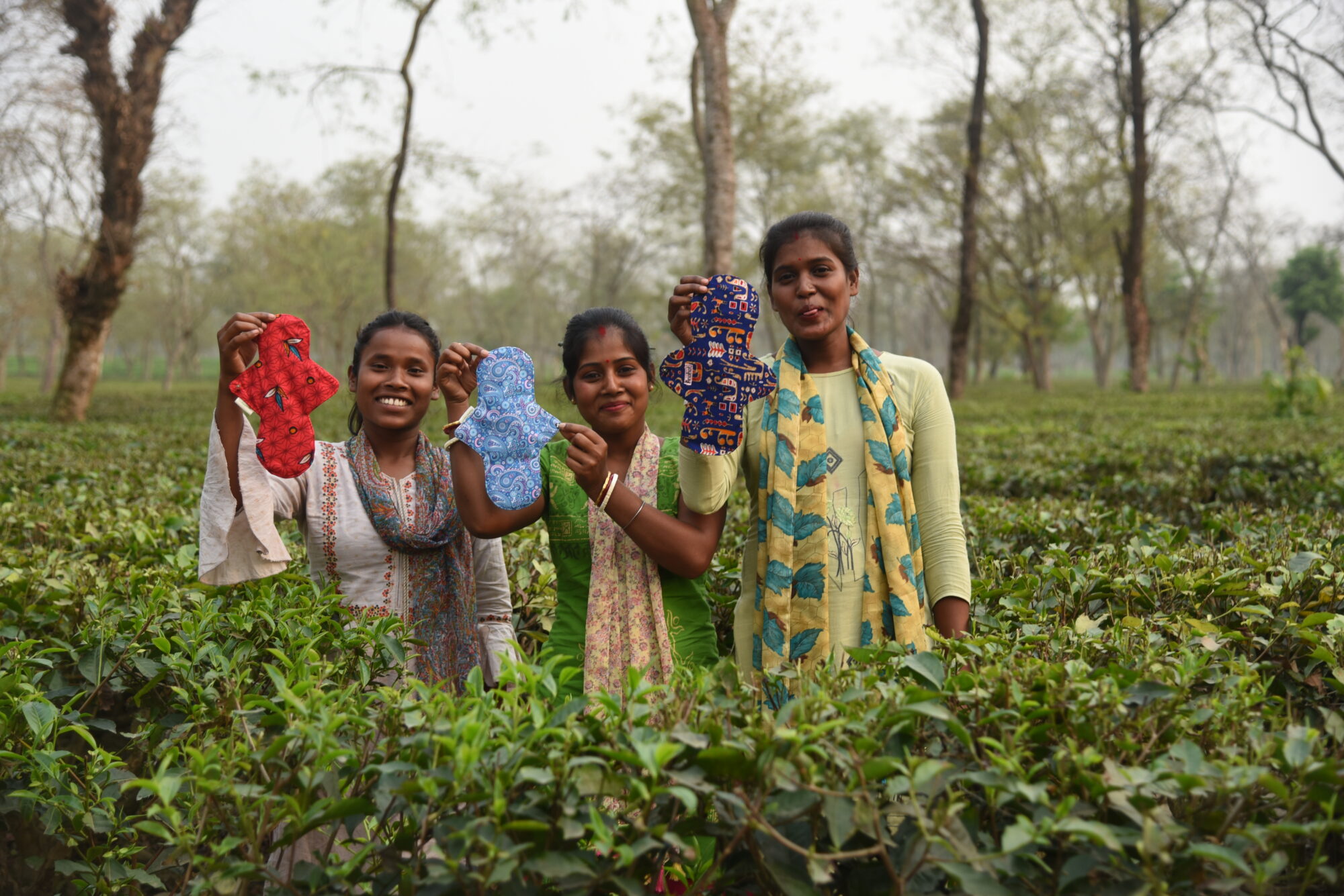 Greenr Sustainability Accelerator Program - TechnoServe