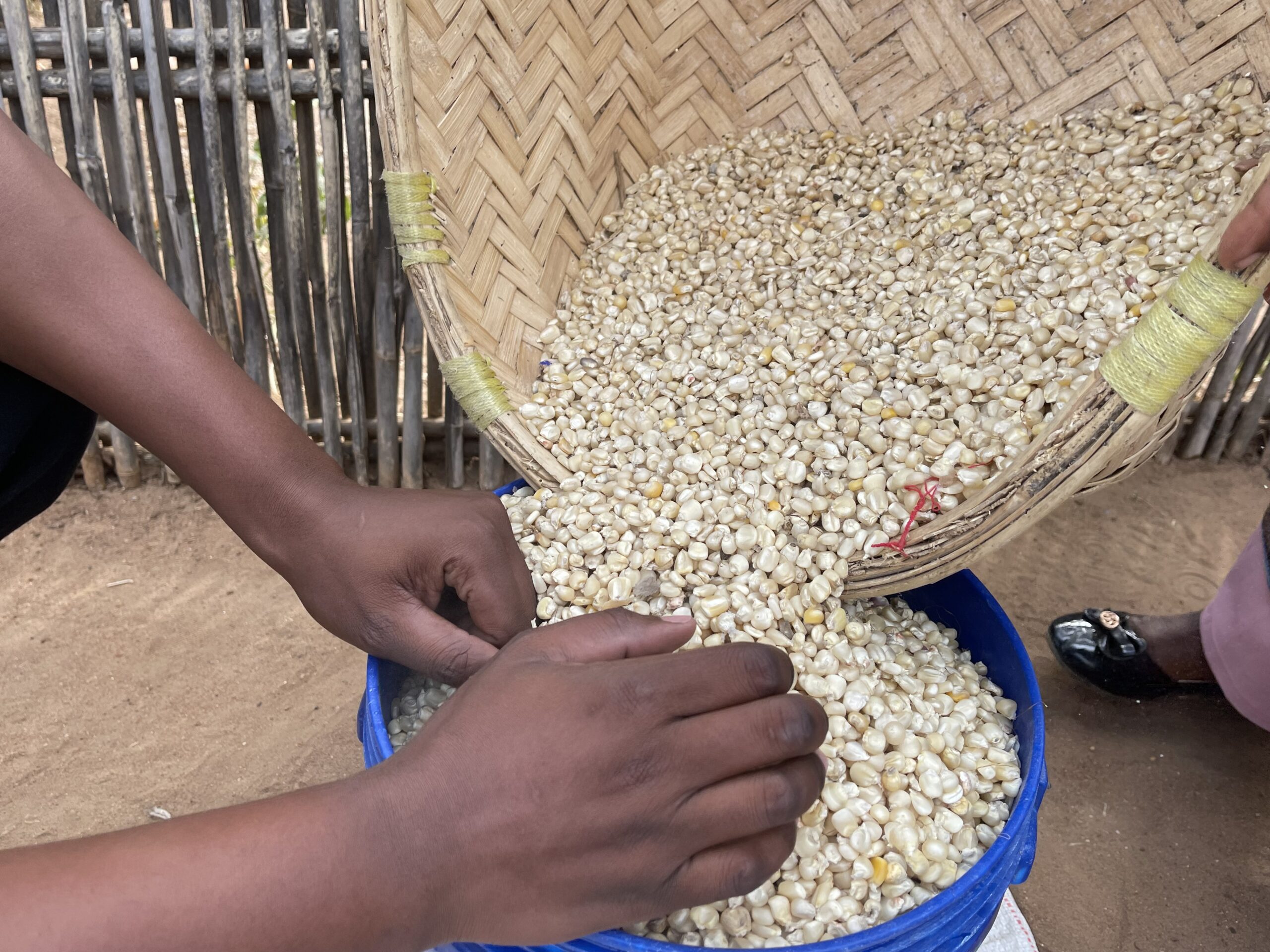 STOP Food Loss: FTF Premier-Oholo (PRO) and METL Partnership to ...