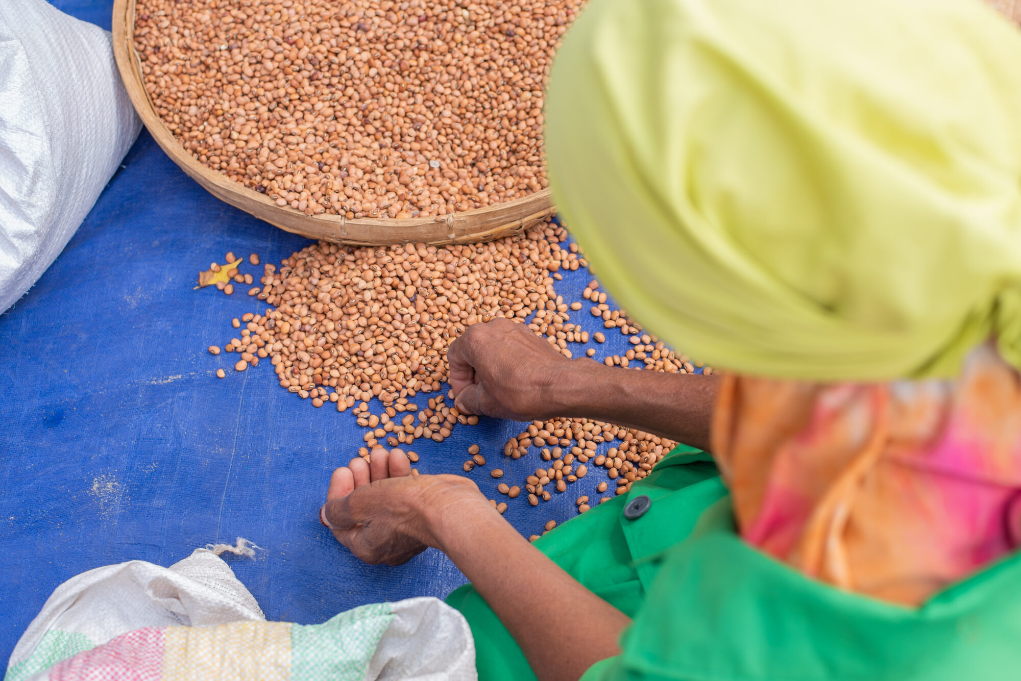 The Food Crisis: How FTF Premier-Oholo is shaping food security and ...