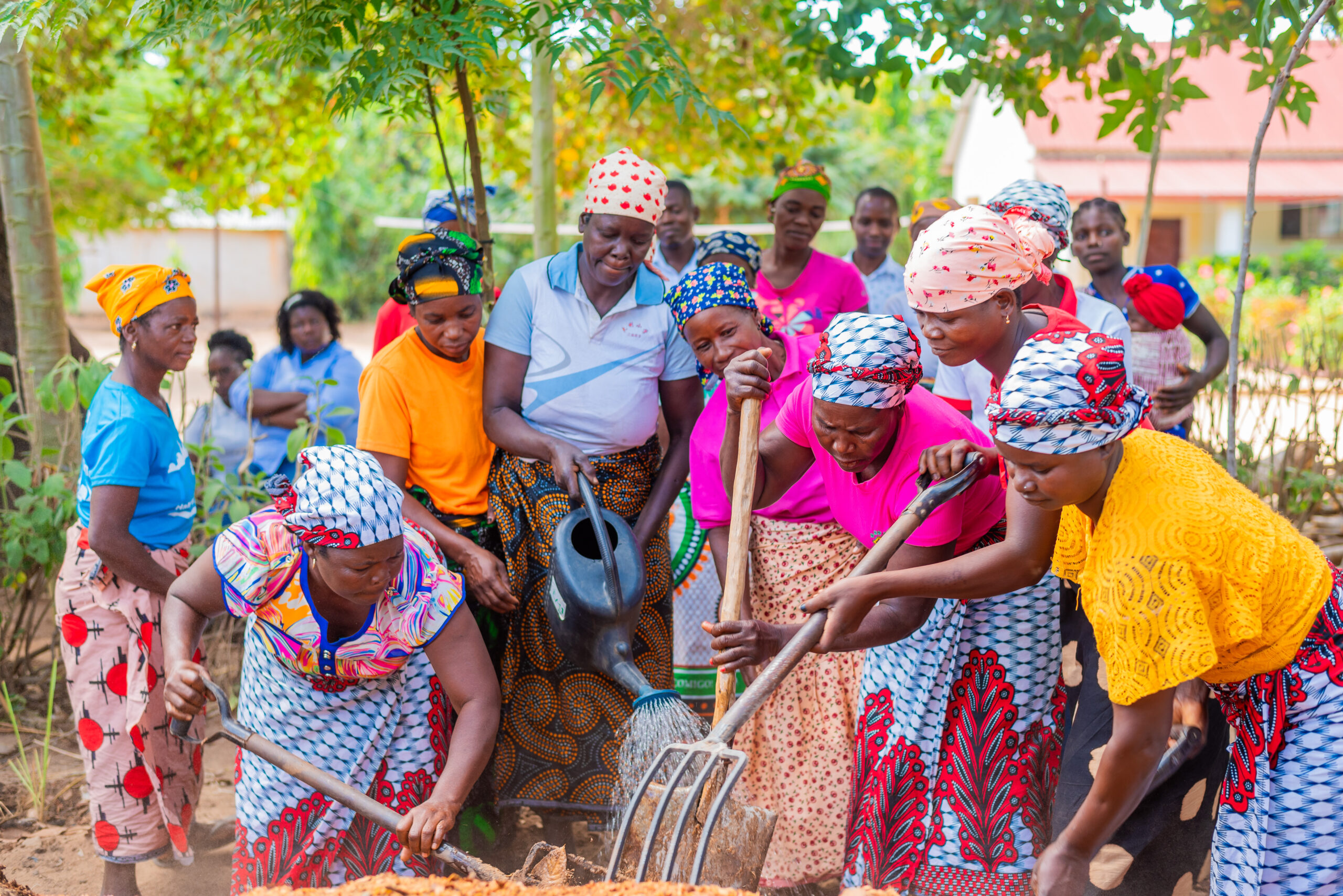 The Food Crisis: How FTF Premier-Oholo is shaping food security and ...